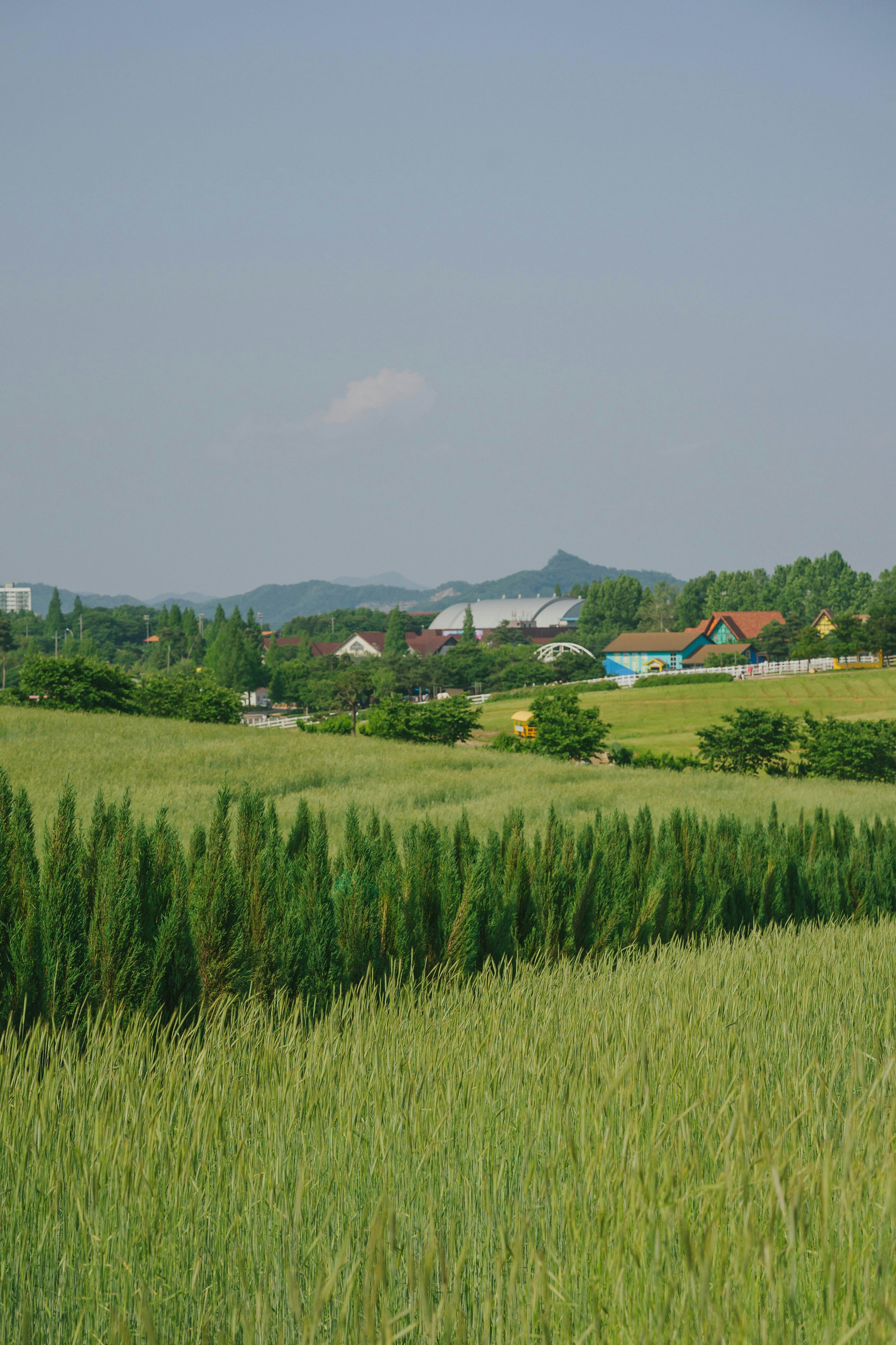 Lush green fields stretch across the landscape, dotted with colorful houses under a clear sky. The scene captures the tranquility of rural life.