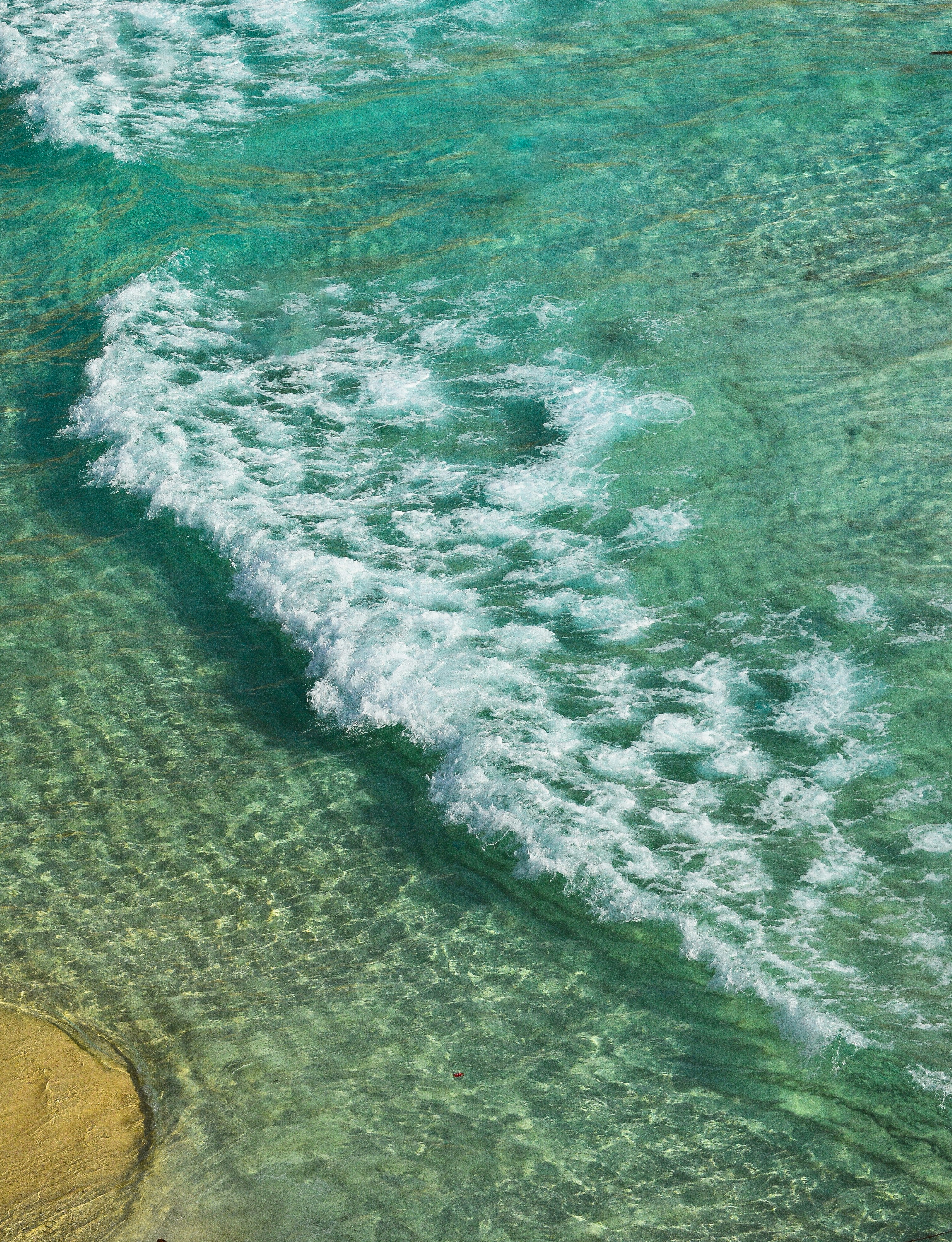 Turquoise Crest: Aerial Portrait of Waves Meeting a Sunlit Shore