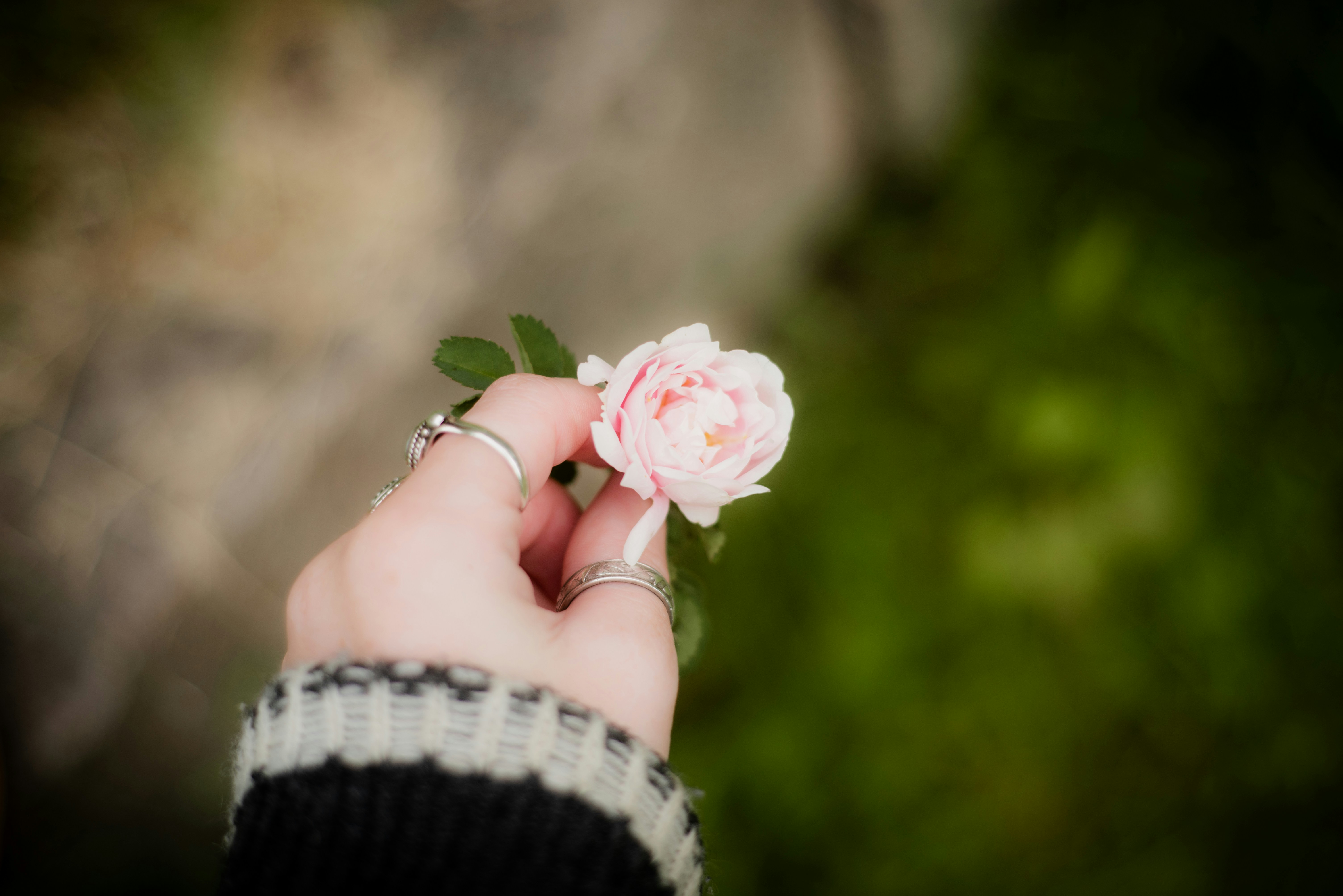 Photo by Sofia Holmberg with Nikon D750