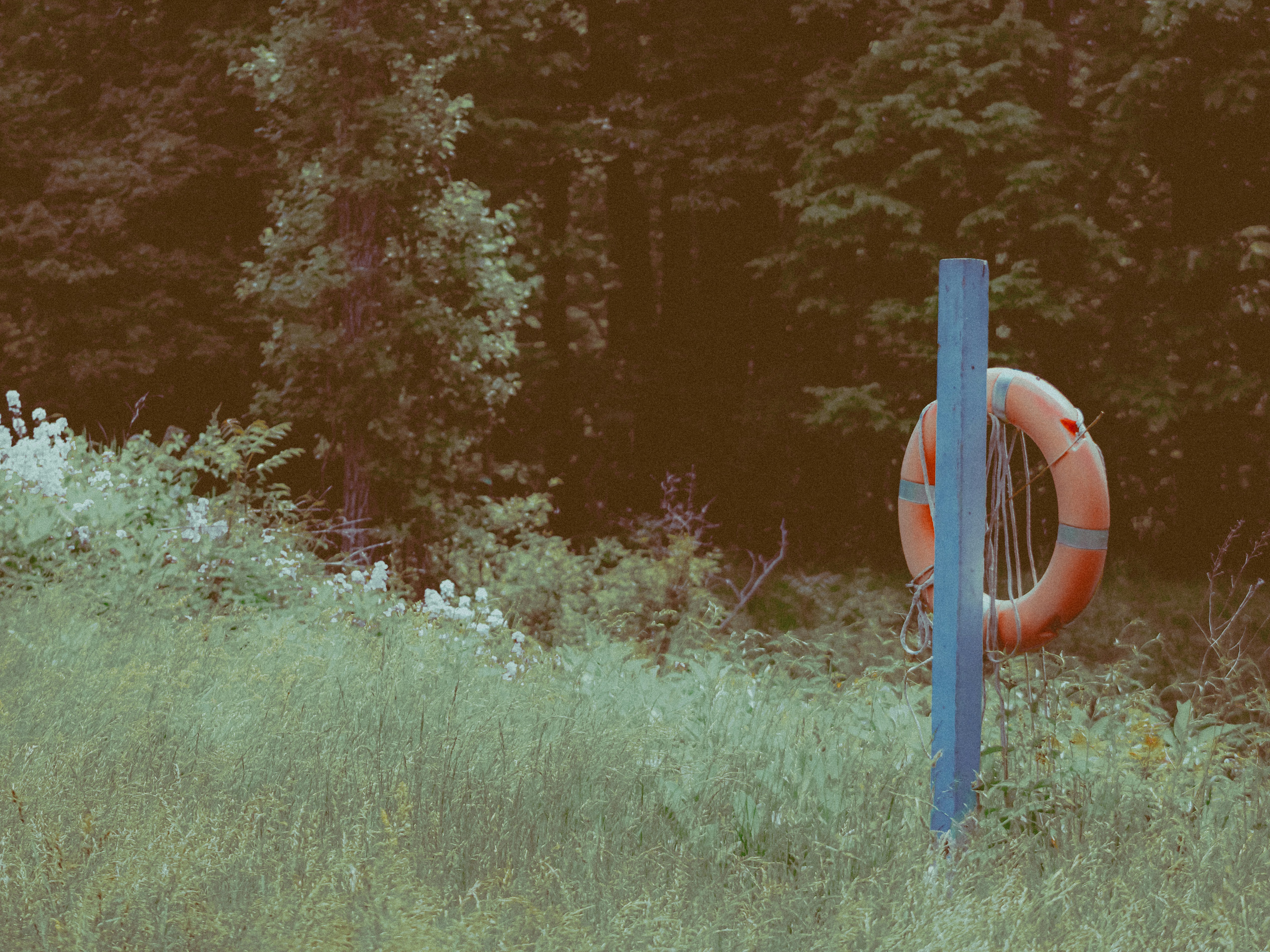 A Beacon of Safety Amidst Nature's Embrace