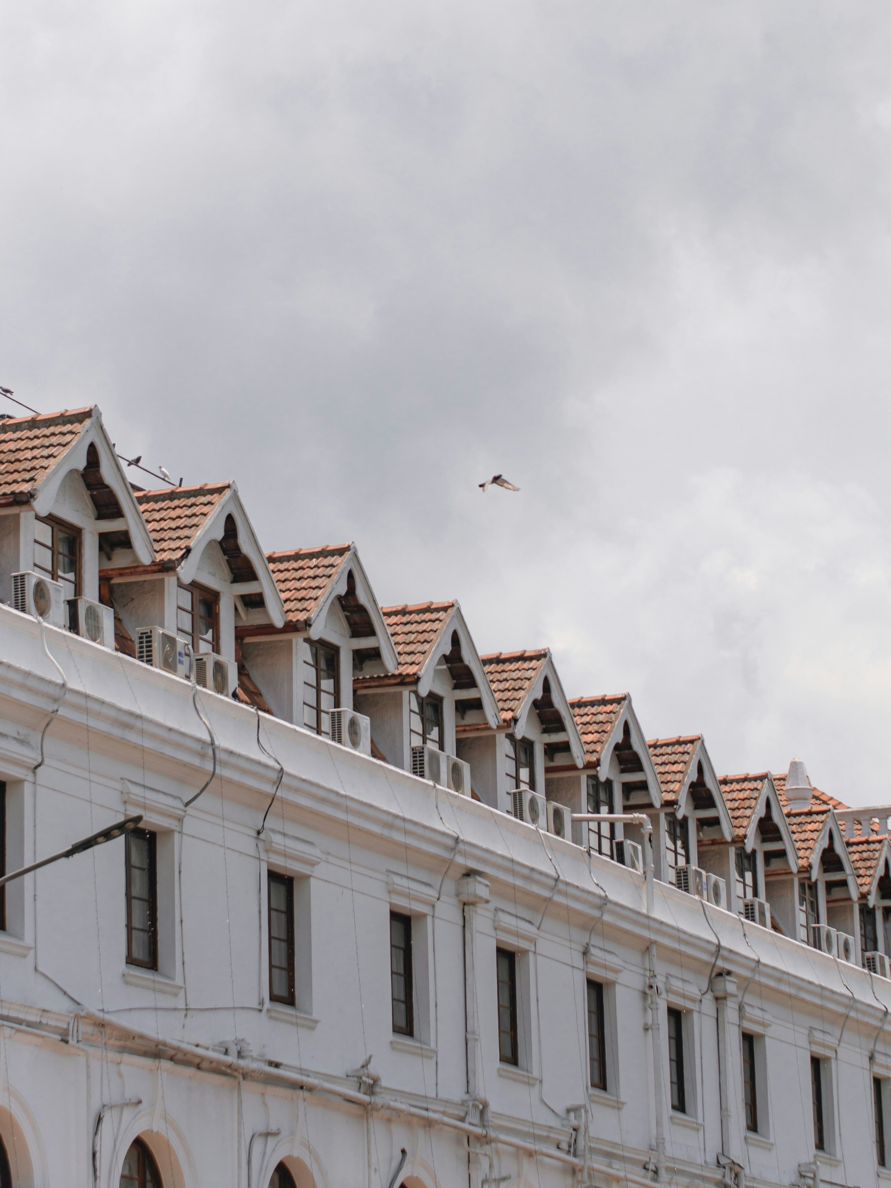 Terracotta Rhythm: White Facades and a Bird over a Cloudy Roofline