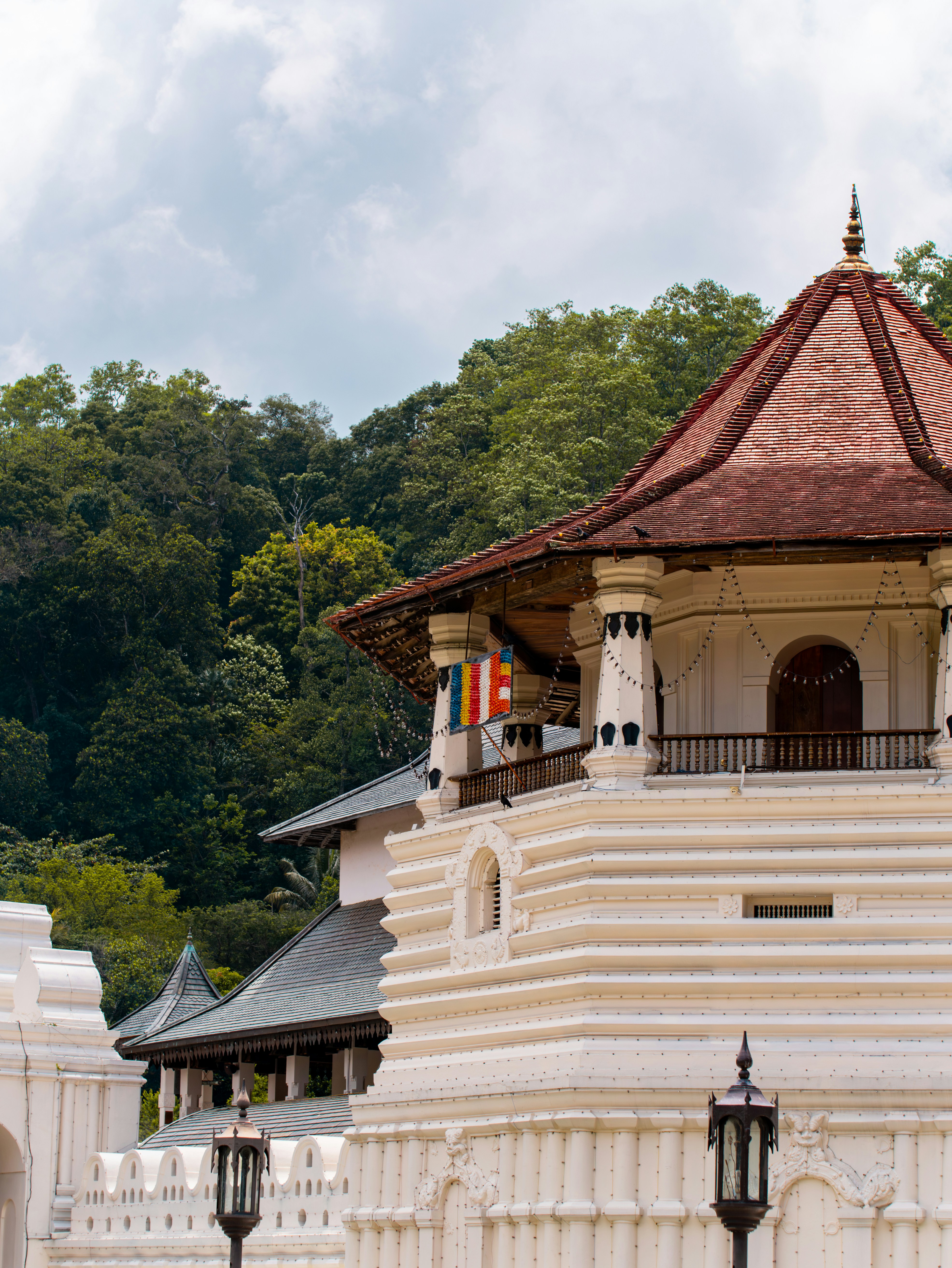 Harmony of Tradition and Nature