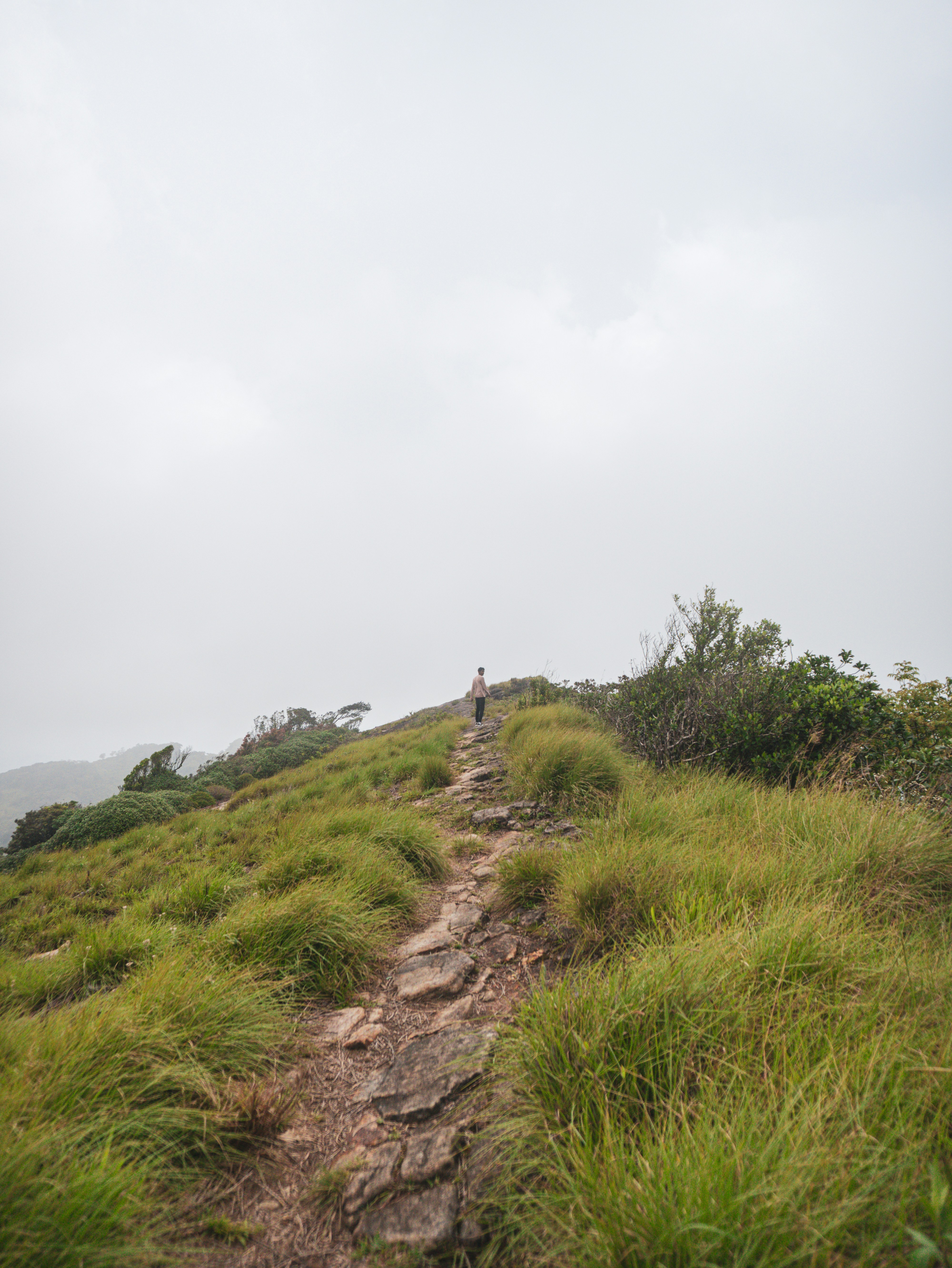 Ridge Crest Ascent: A Lone Hiker on a Stone-Lined Path