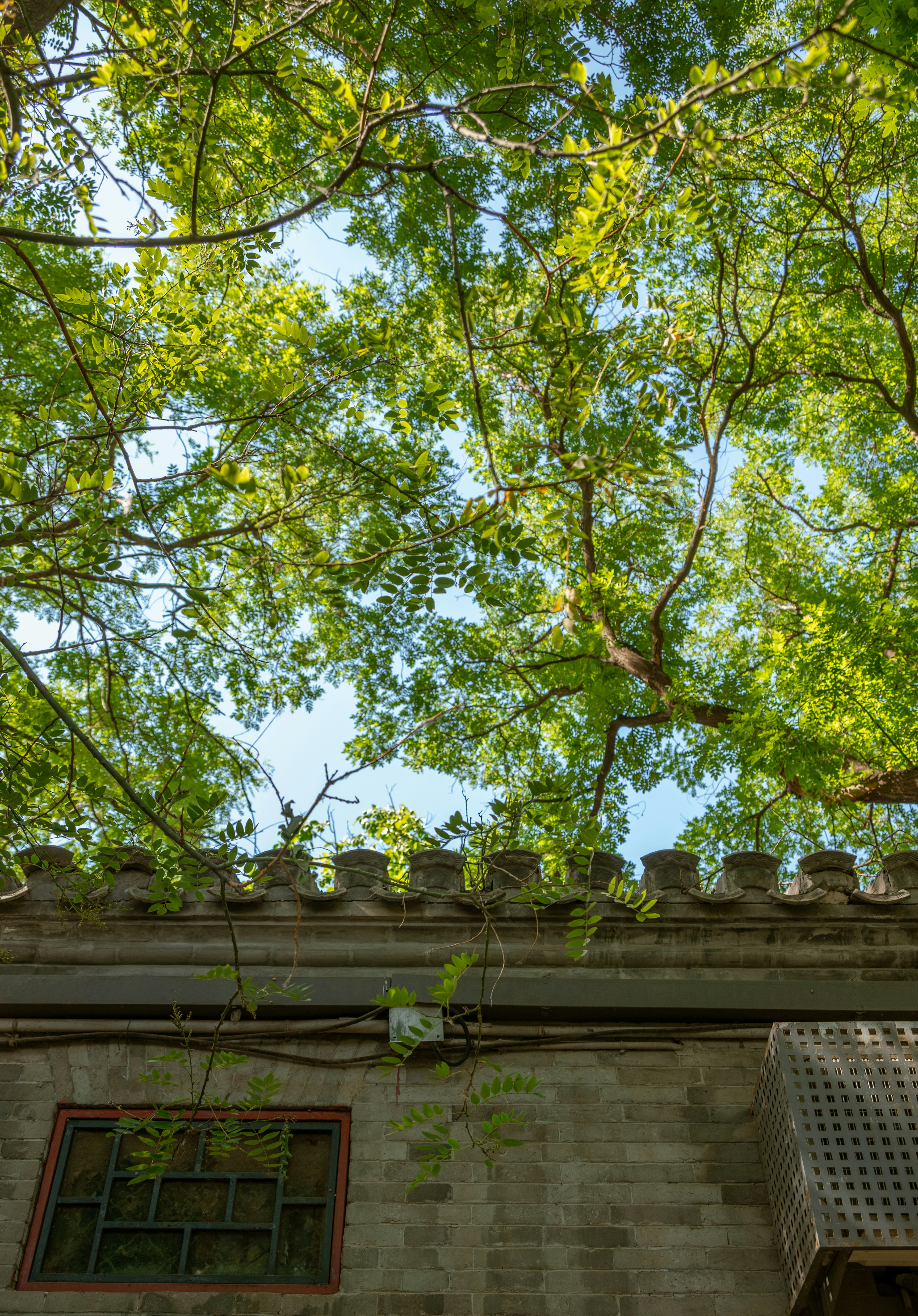 Photo by ran liwen with Nikon Z5