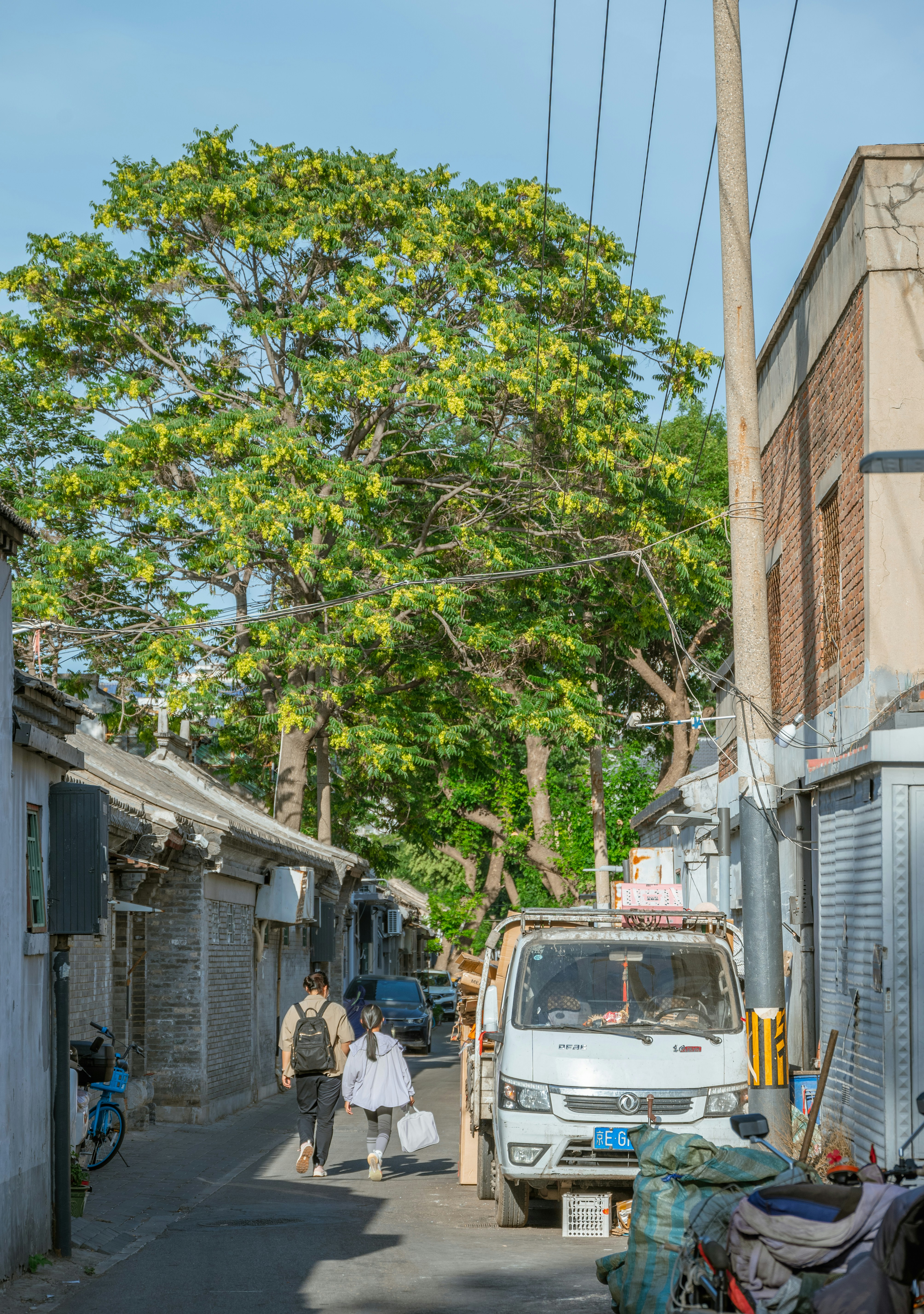 Photo by ran liwen with Nikon Z5