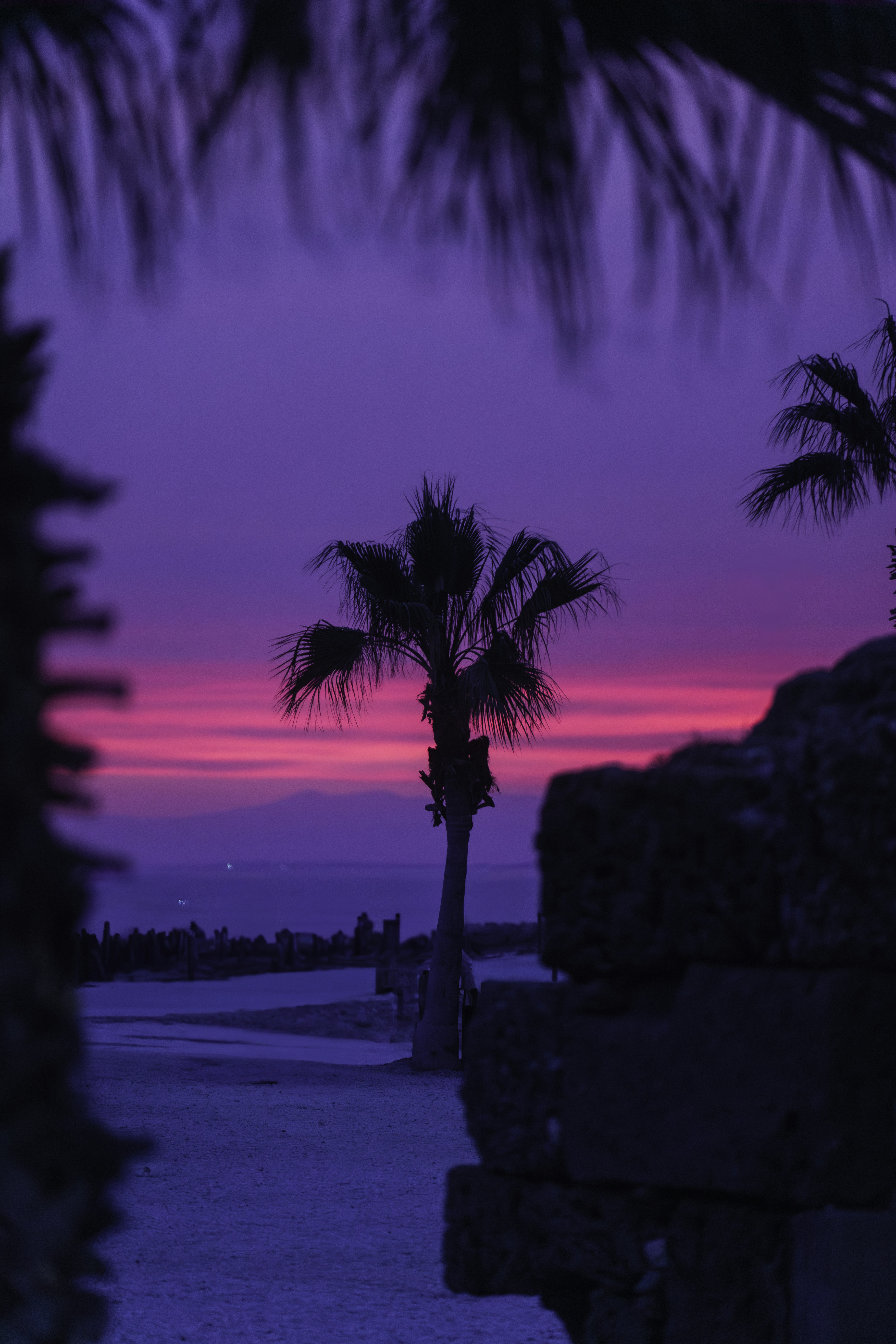 Twilight's Embrace: The Silhouette of Serenity