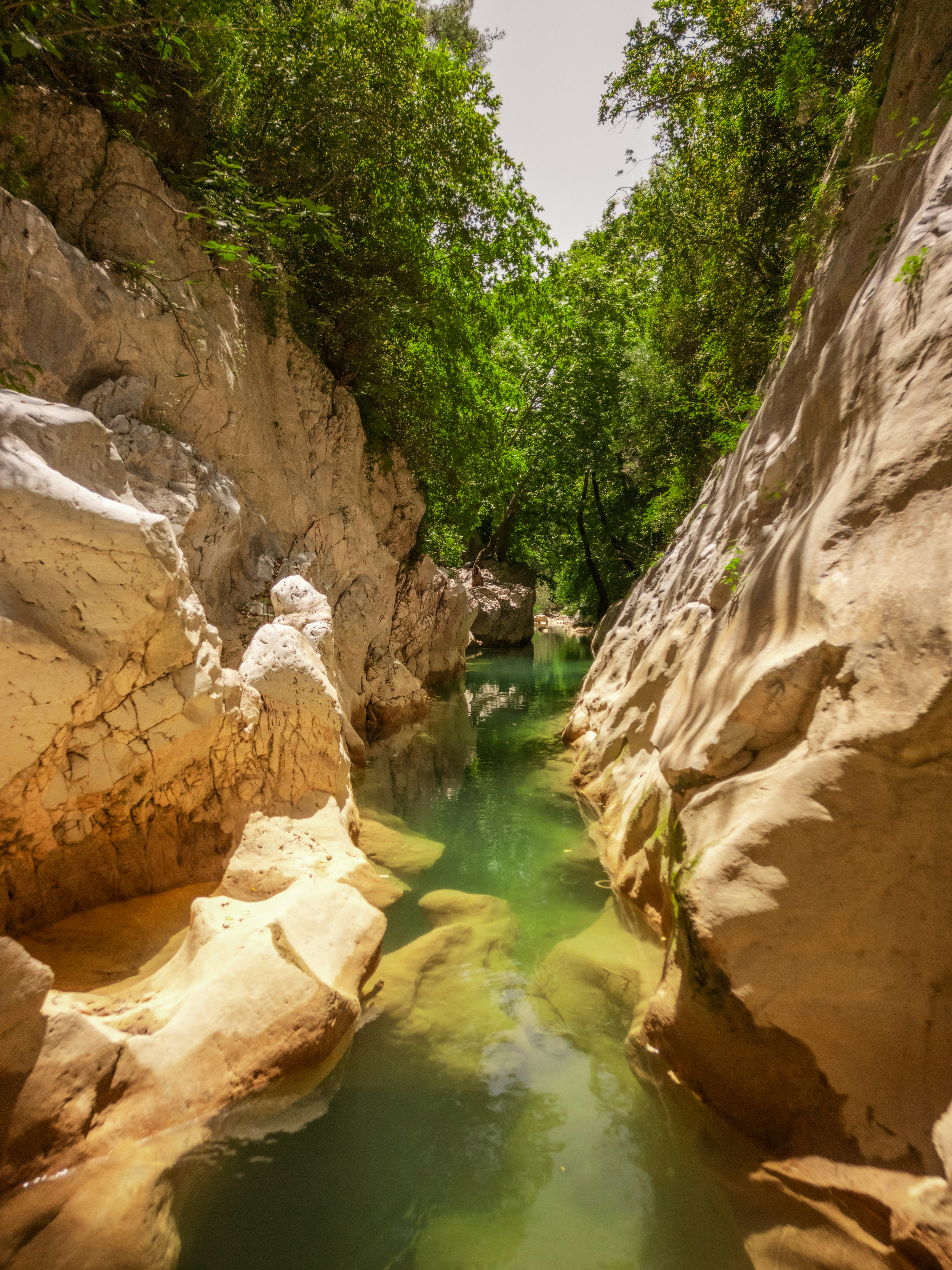 A scenic canyon with a stream flowing through it. photo – Free ...