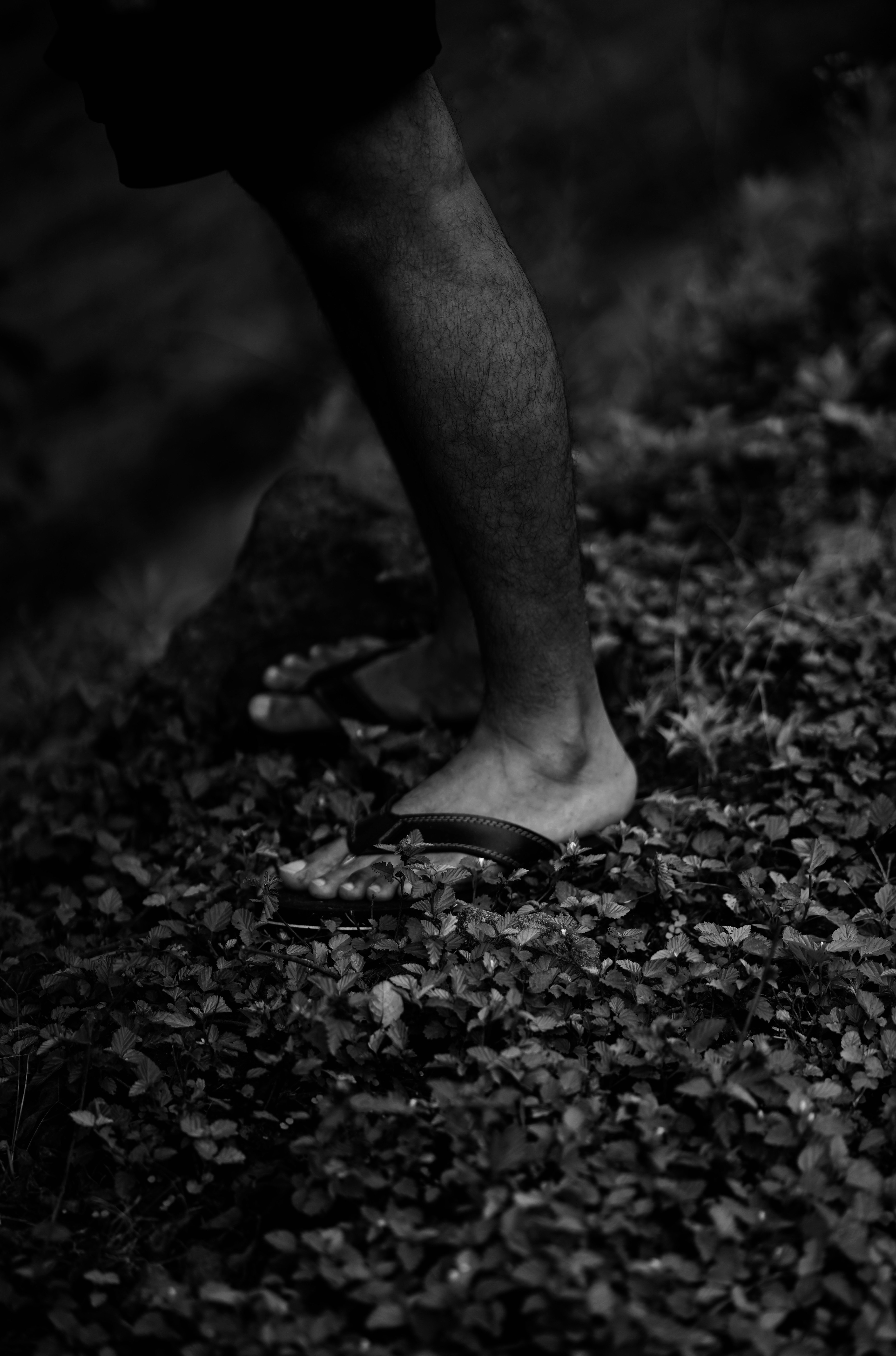 Person wearing flip-flops on a leafy ground.