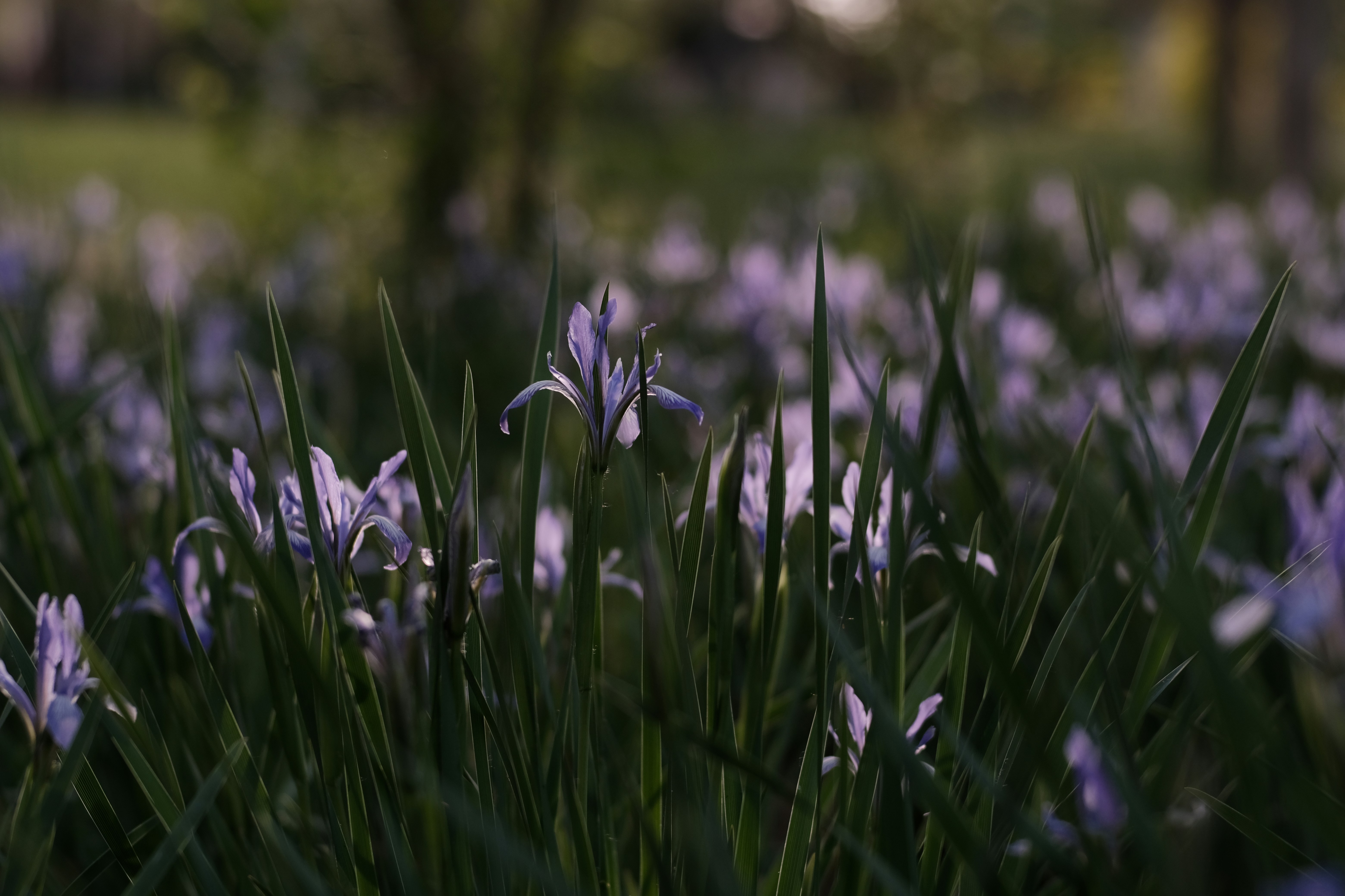 Hannah M (@hannah_mmm) | Unsplash Photo Community