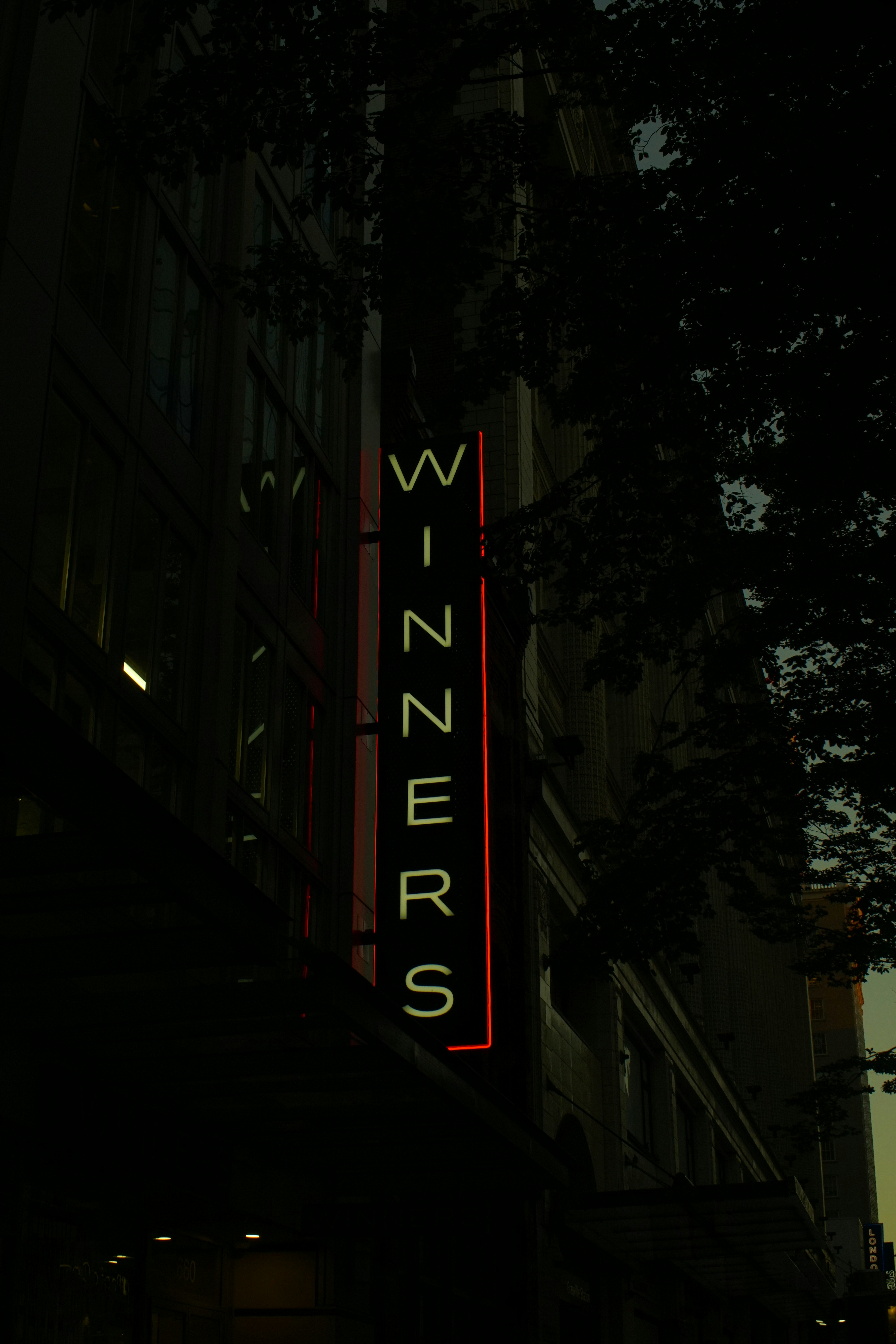 Neon Echoes of Urban Life
