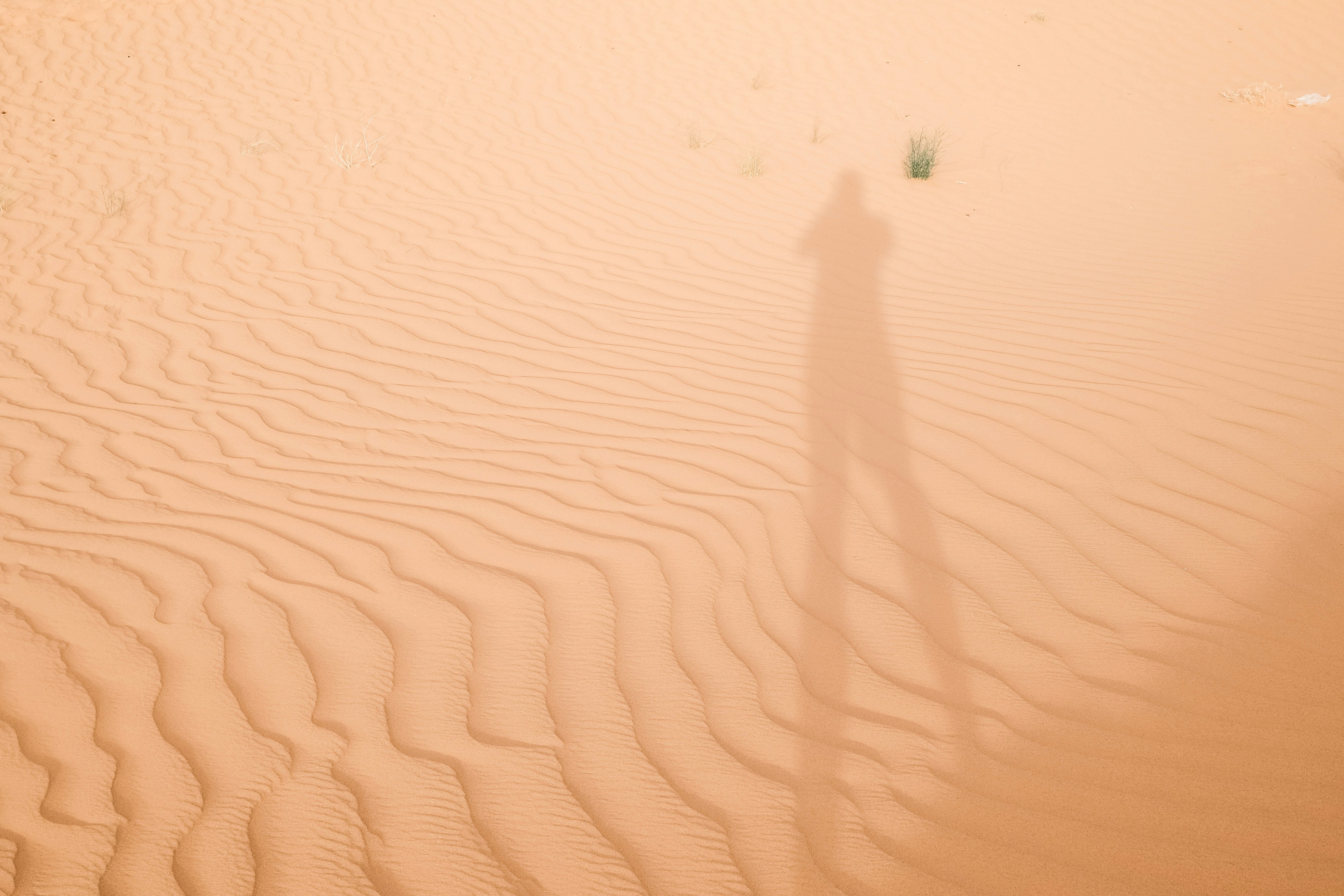 A shadow of a person on sandy dunes.