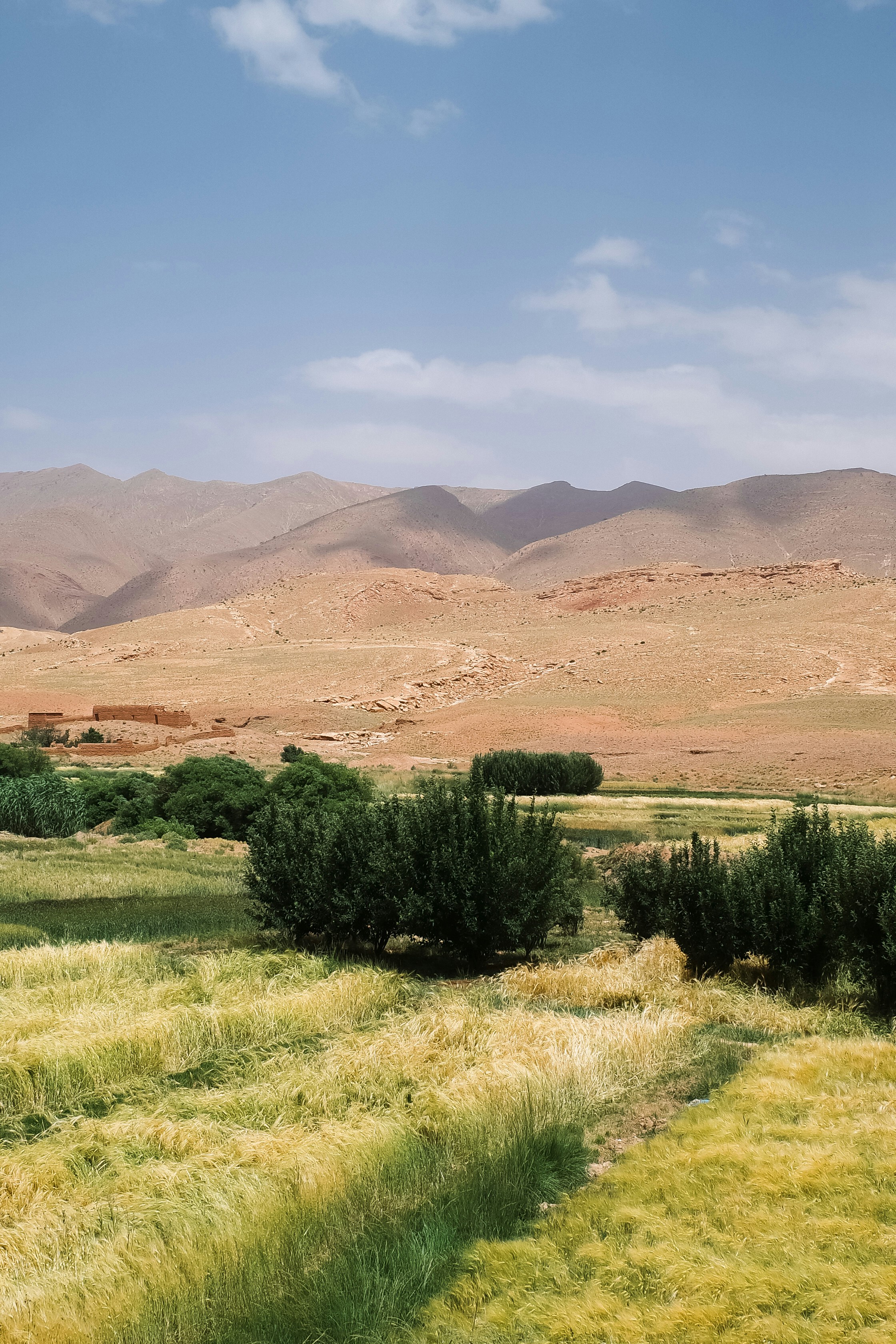 Verdant Fingers Thread Through Desert Hills