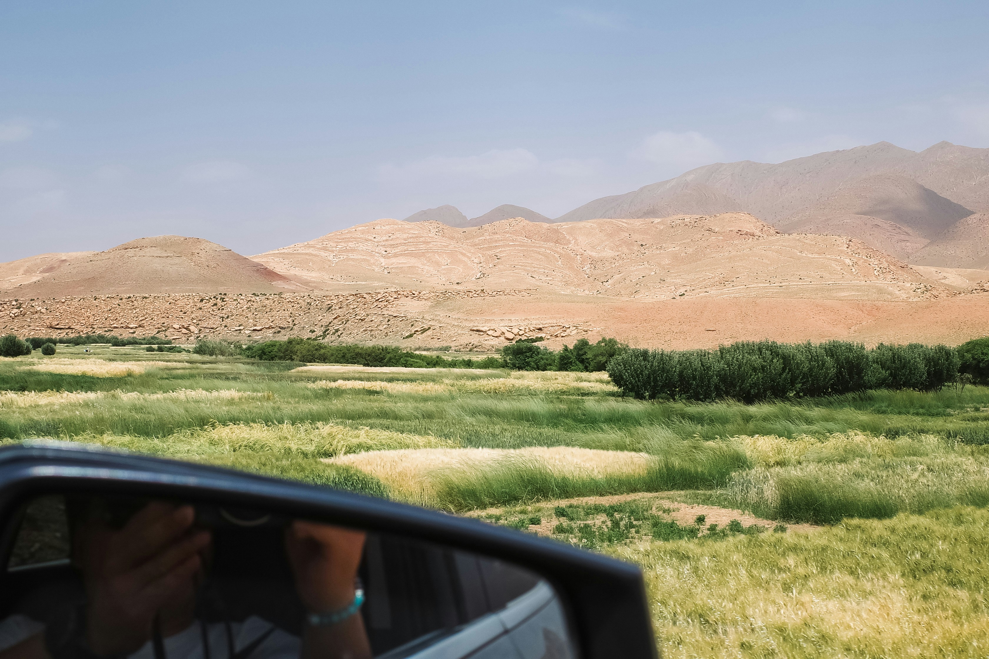 Verdant Oasis Amidst Arid Landscapes