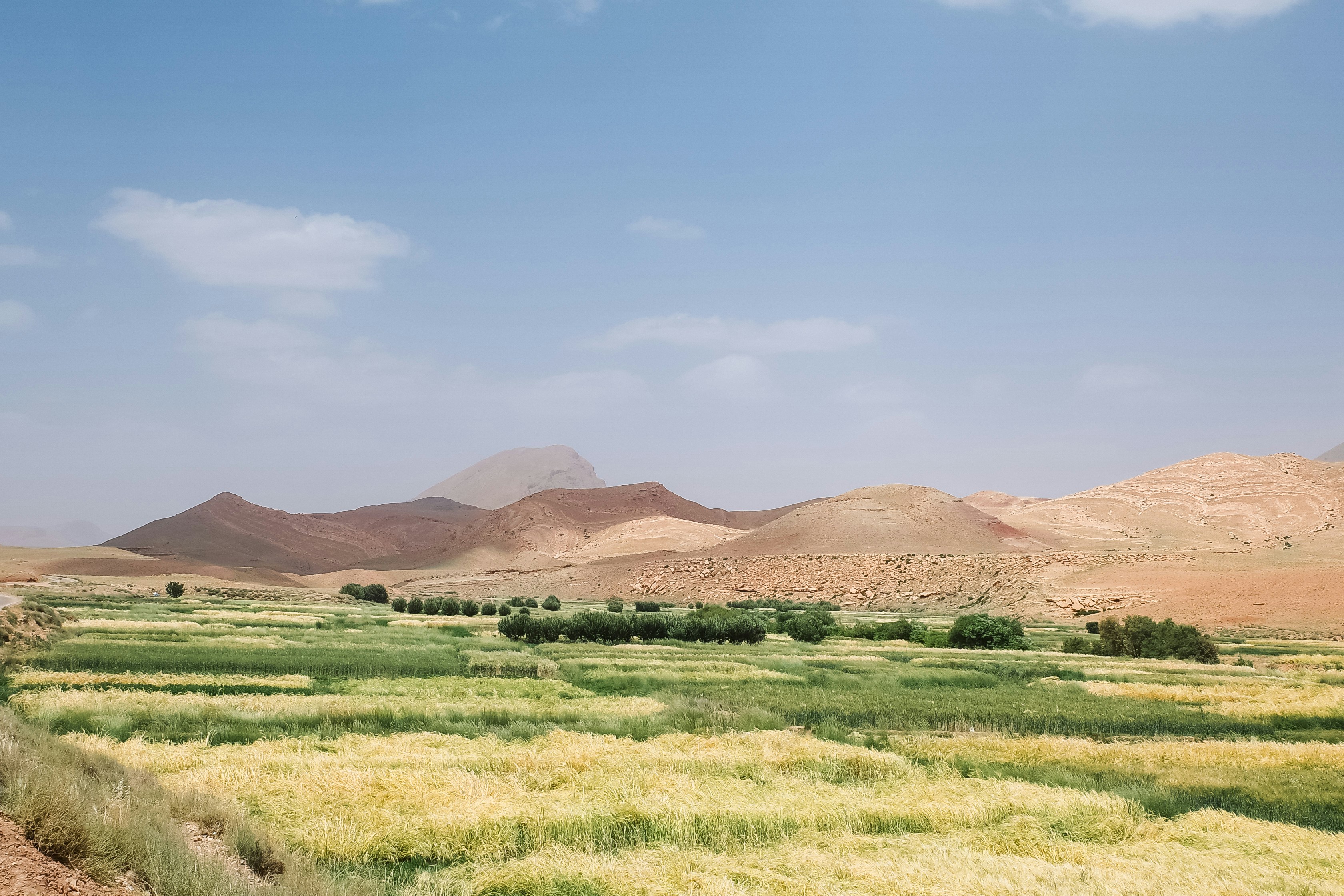 Vast fields of green and gold contrast with the arid mountains under a clear blue sky. The landscape showcases the delicate balance between fertile land and rugged terrain.