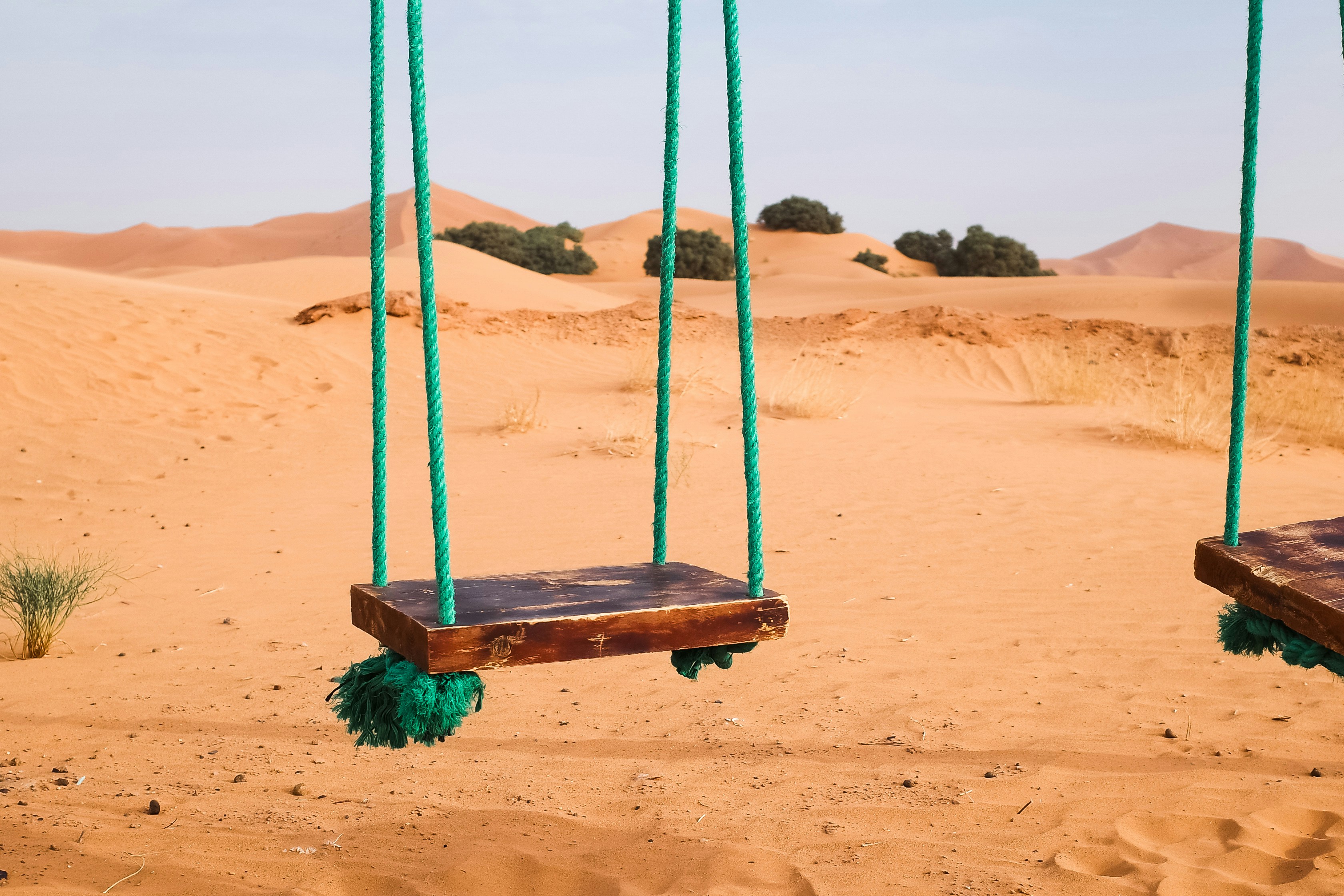 Desert Dreams: A Swing Amidst the Sands