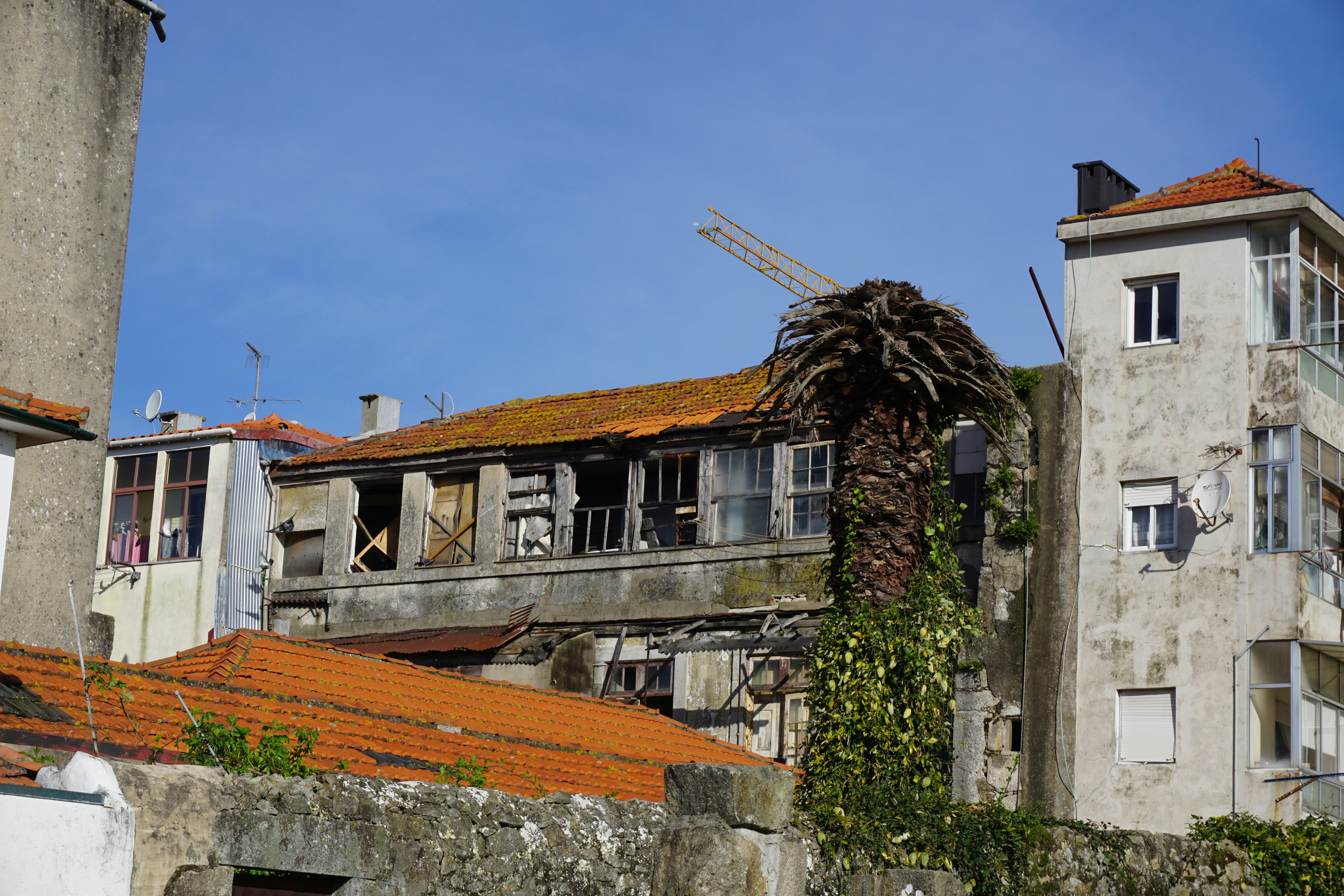 Derelict | Dilapidated buildings stand under a clear blue sky.