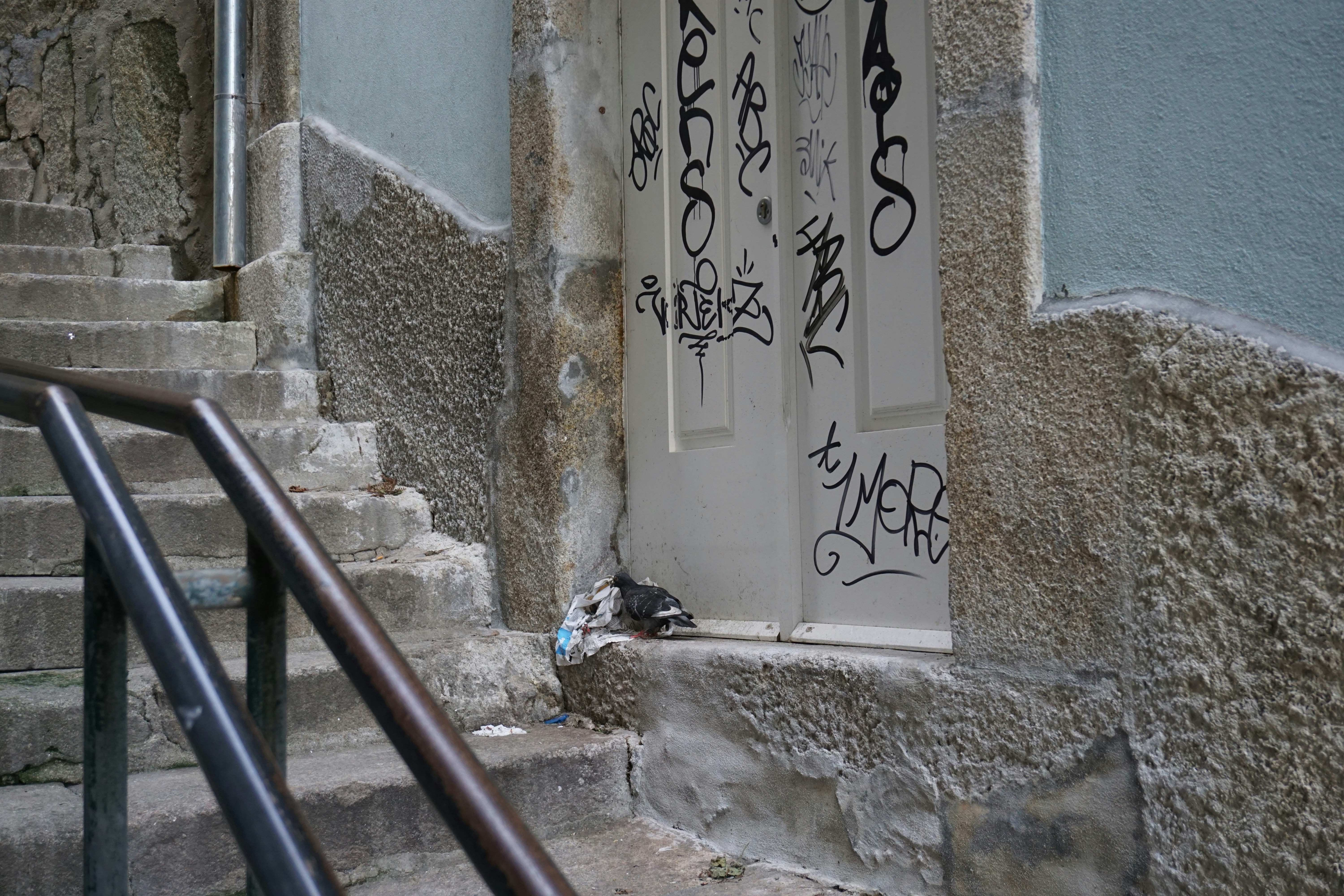 Graffiti-Clad Doorway Framed by Weathered Steps