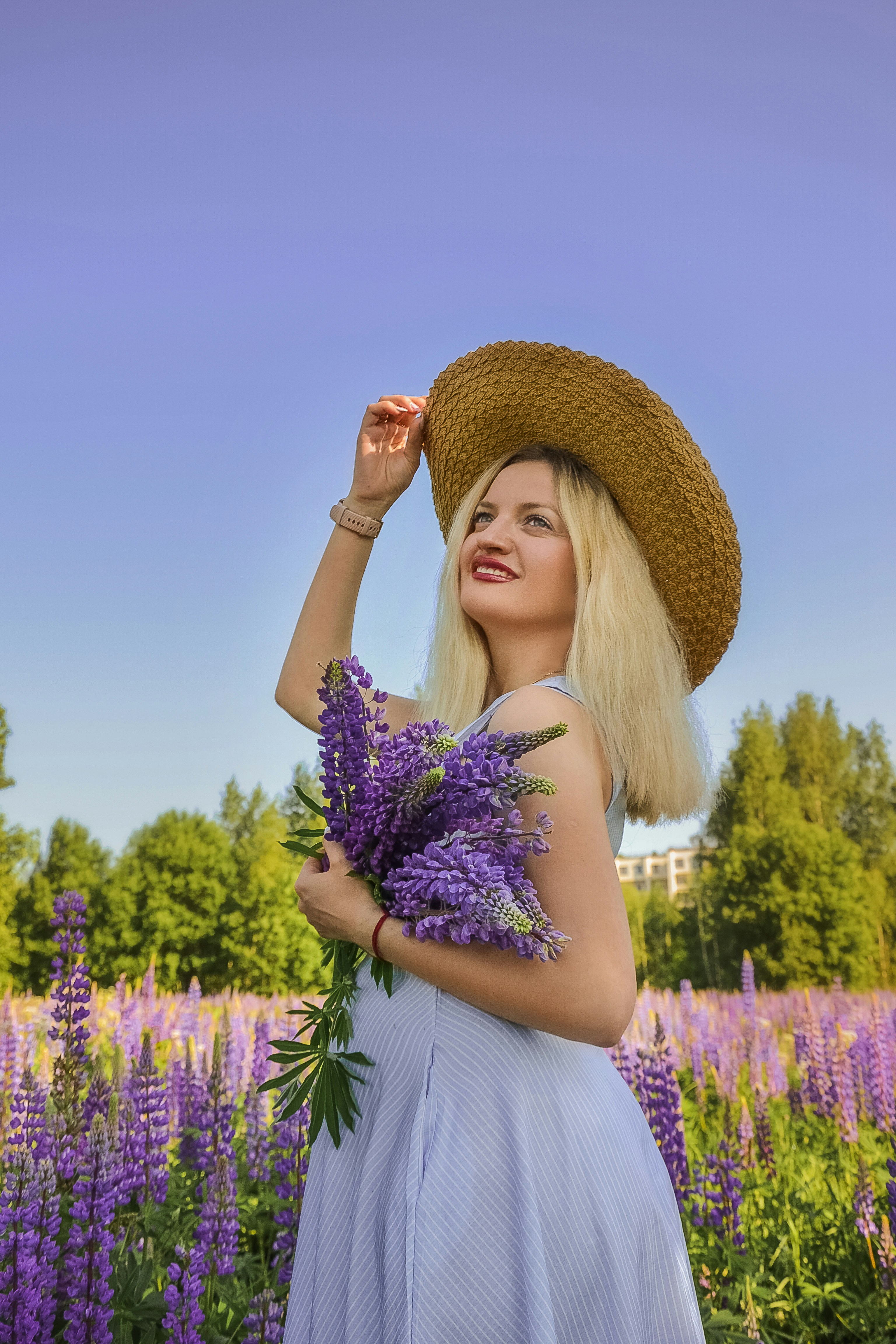 Woman in a straw hat holding a bouquet of purple flowers, surrounded by a vibrant field of blooming lupines under a clear blue sky.