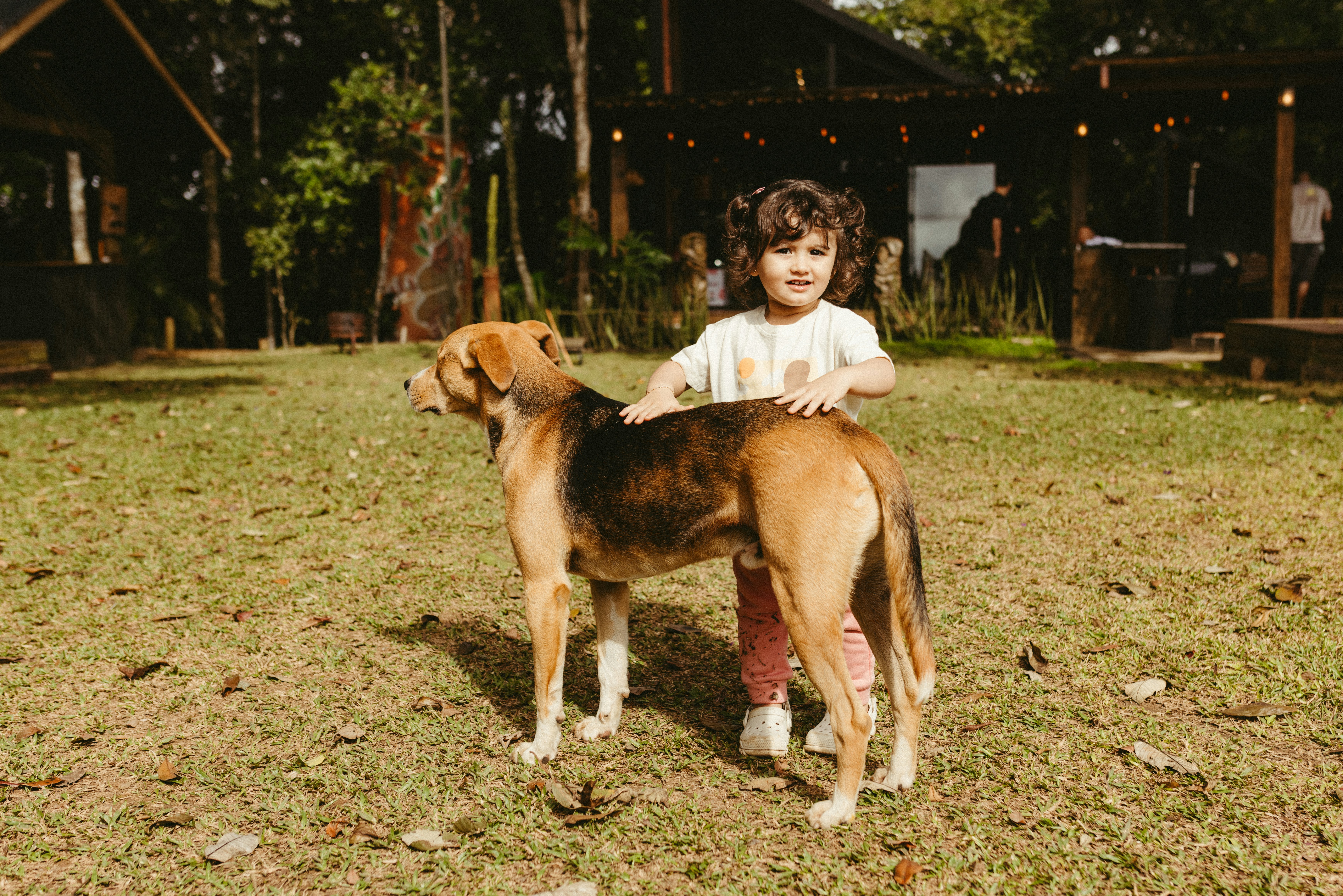 Golden Hour Embrace: A Little Girl and Her Canine Companion in a Sunlit Yard