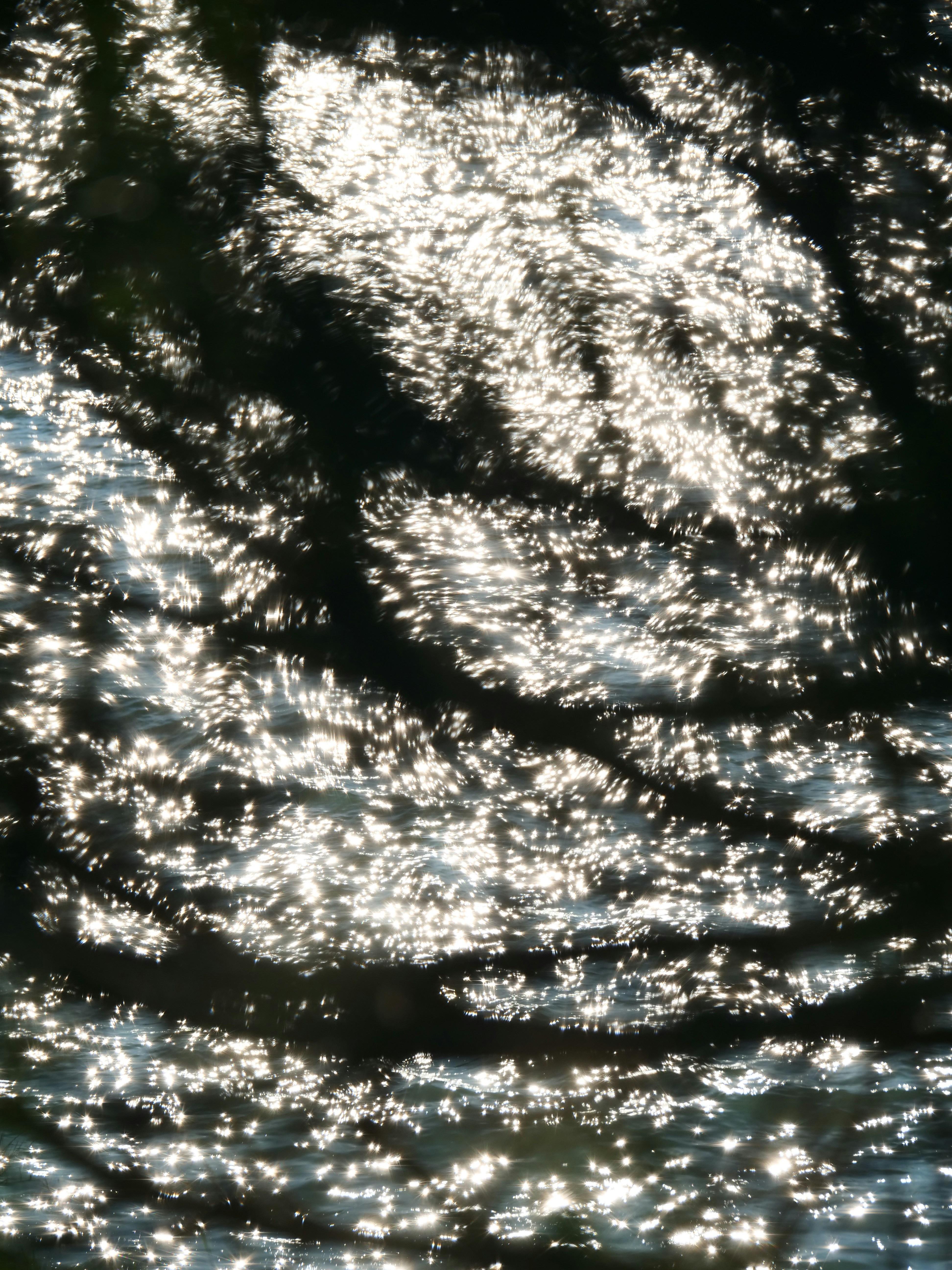Dancing Reflections on Water's Surface