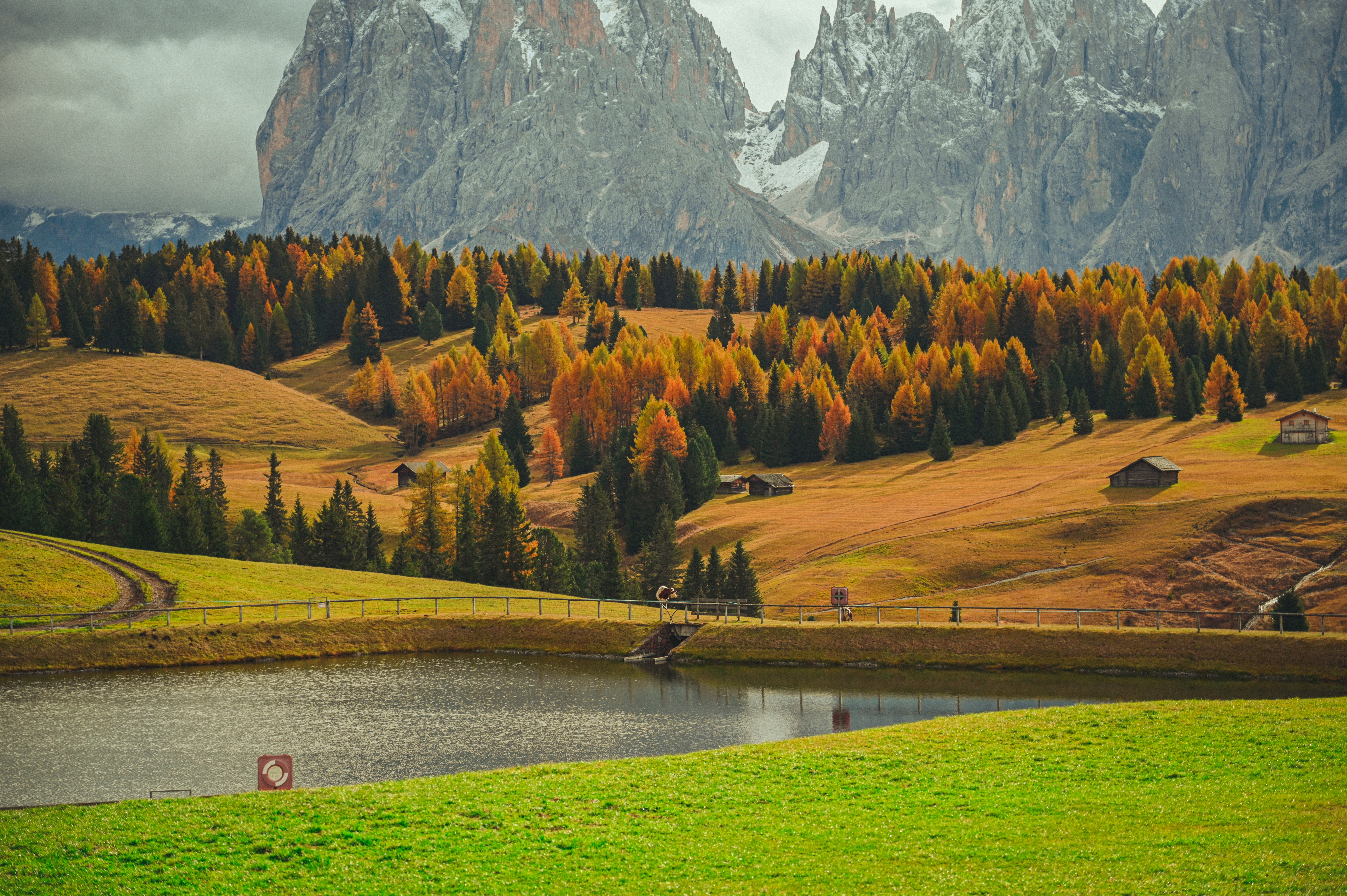 Golden Pines by a Quiet Lake Beneath Jagged Alpine Peaks