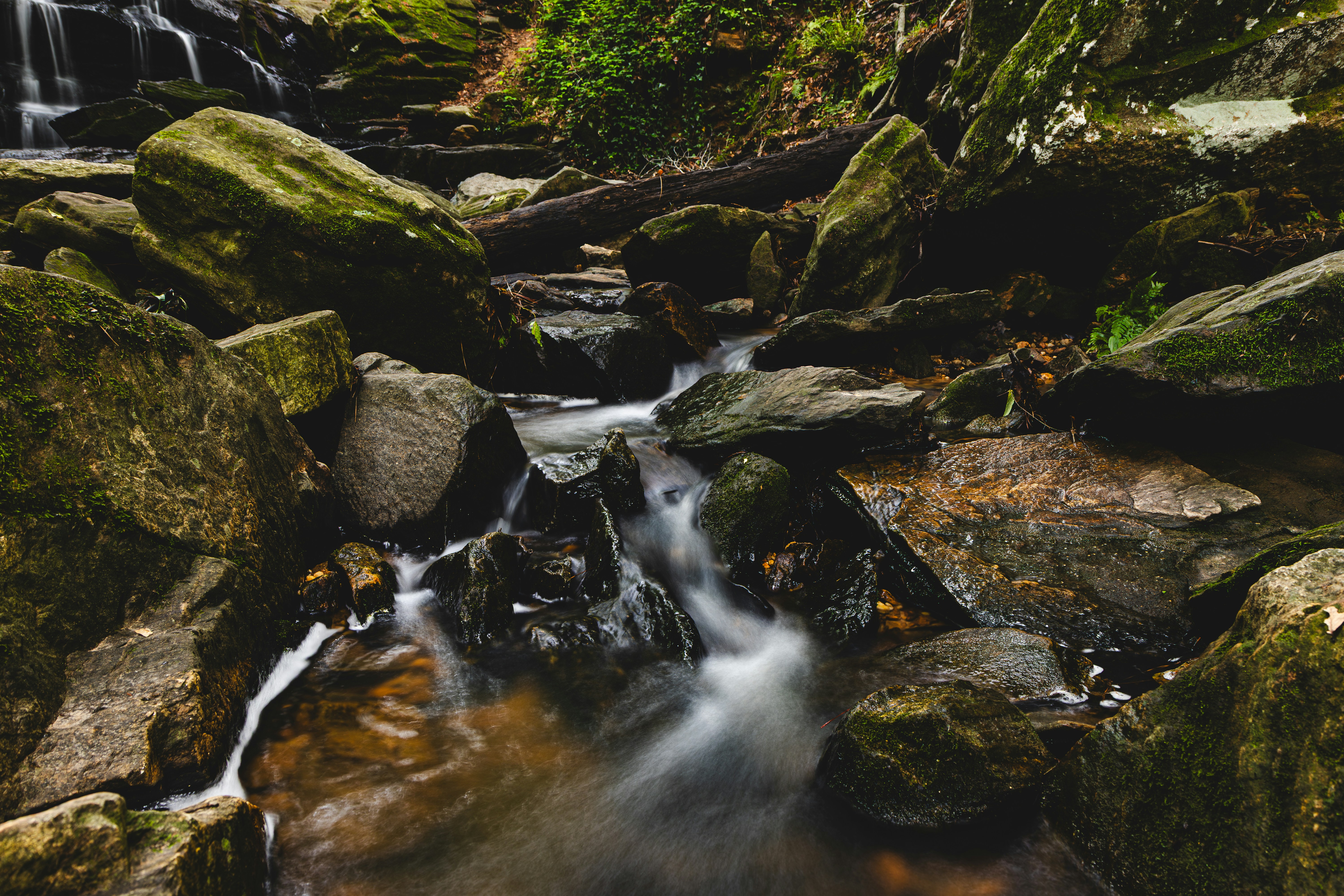 Brice Cooper (@brice_cooper18) | Unsplash Photo Community