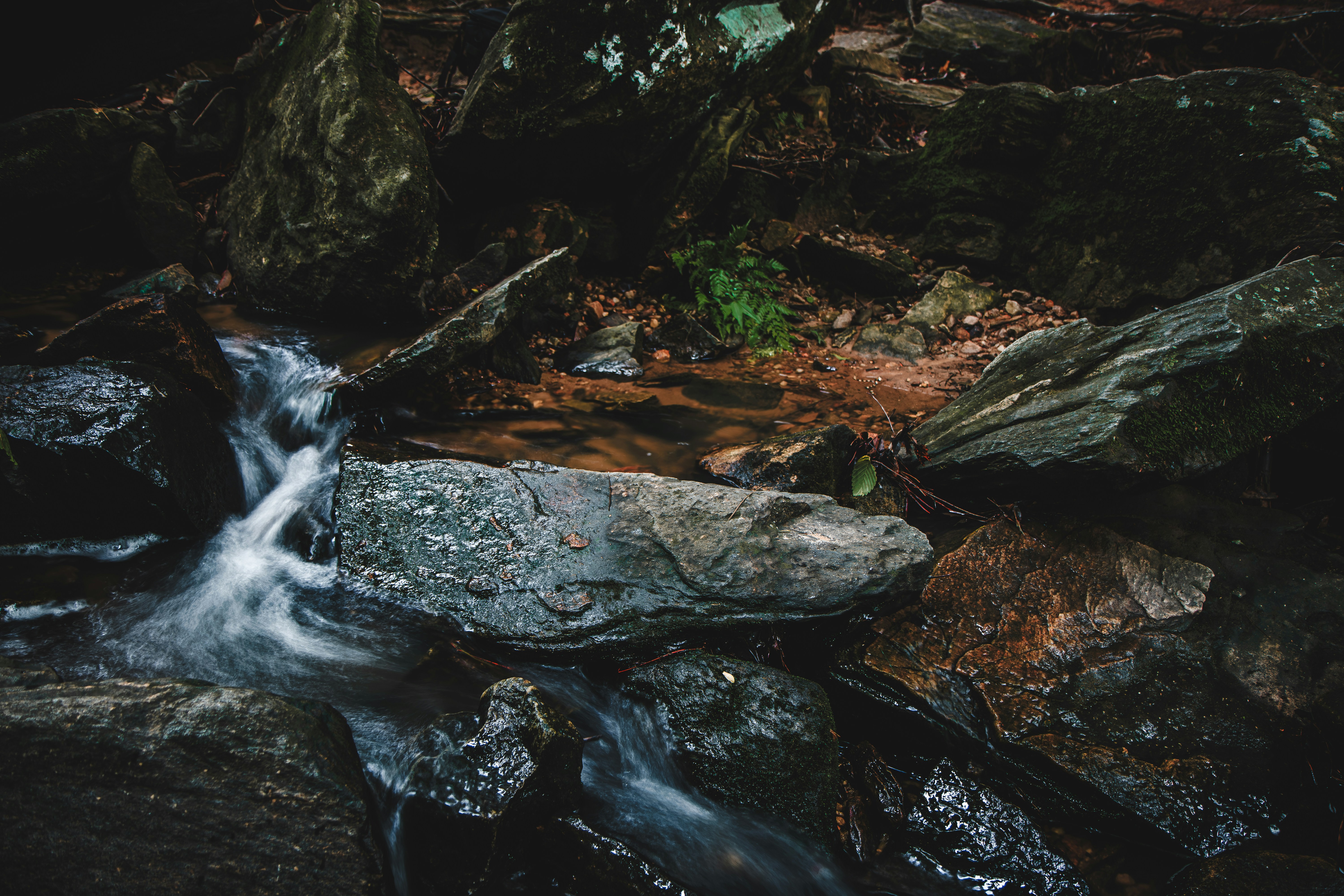 Brice Cooper (@brice_cooper18) | Unsplash Photo Community