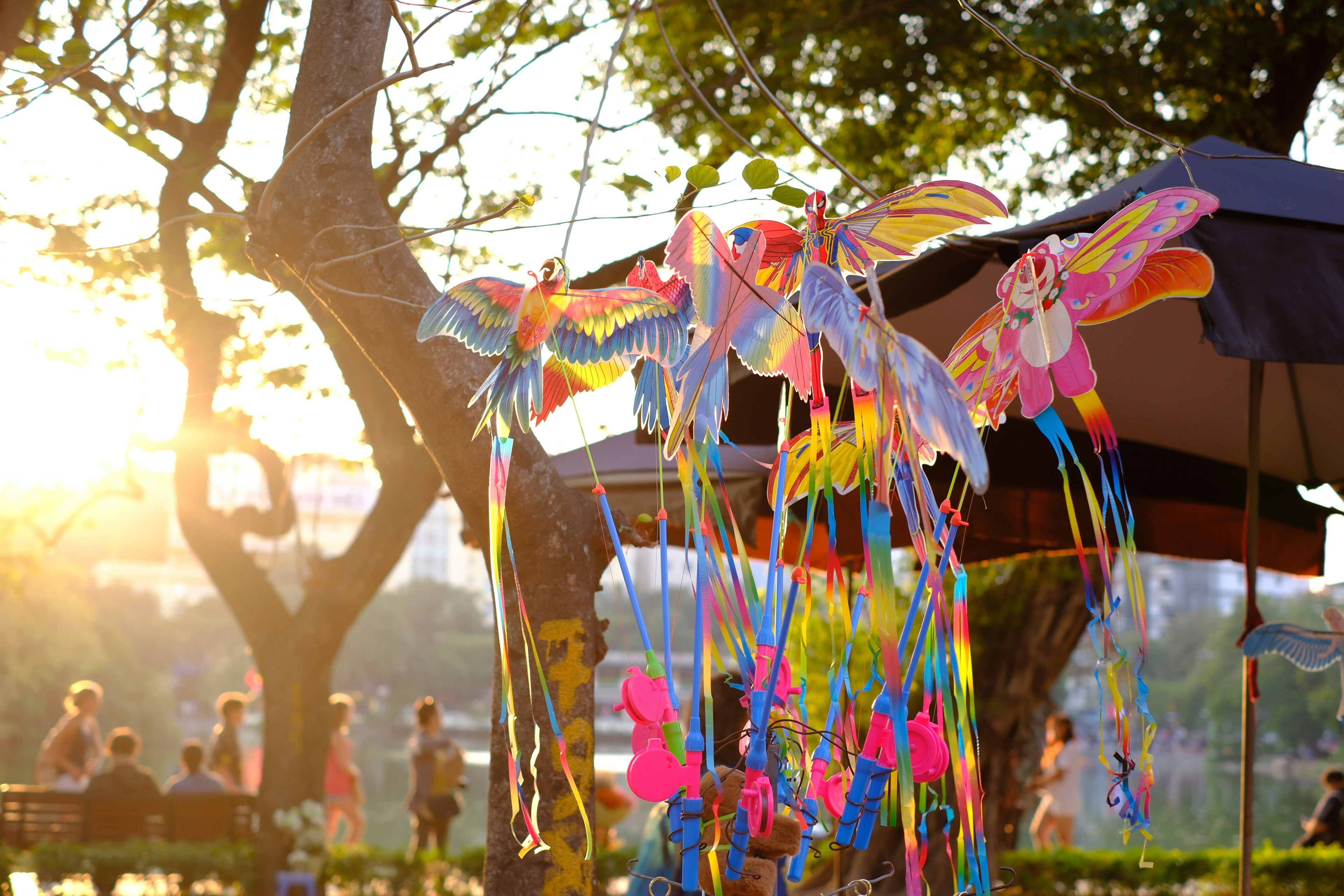 Whimsical Kites Dance in the Golden Glow