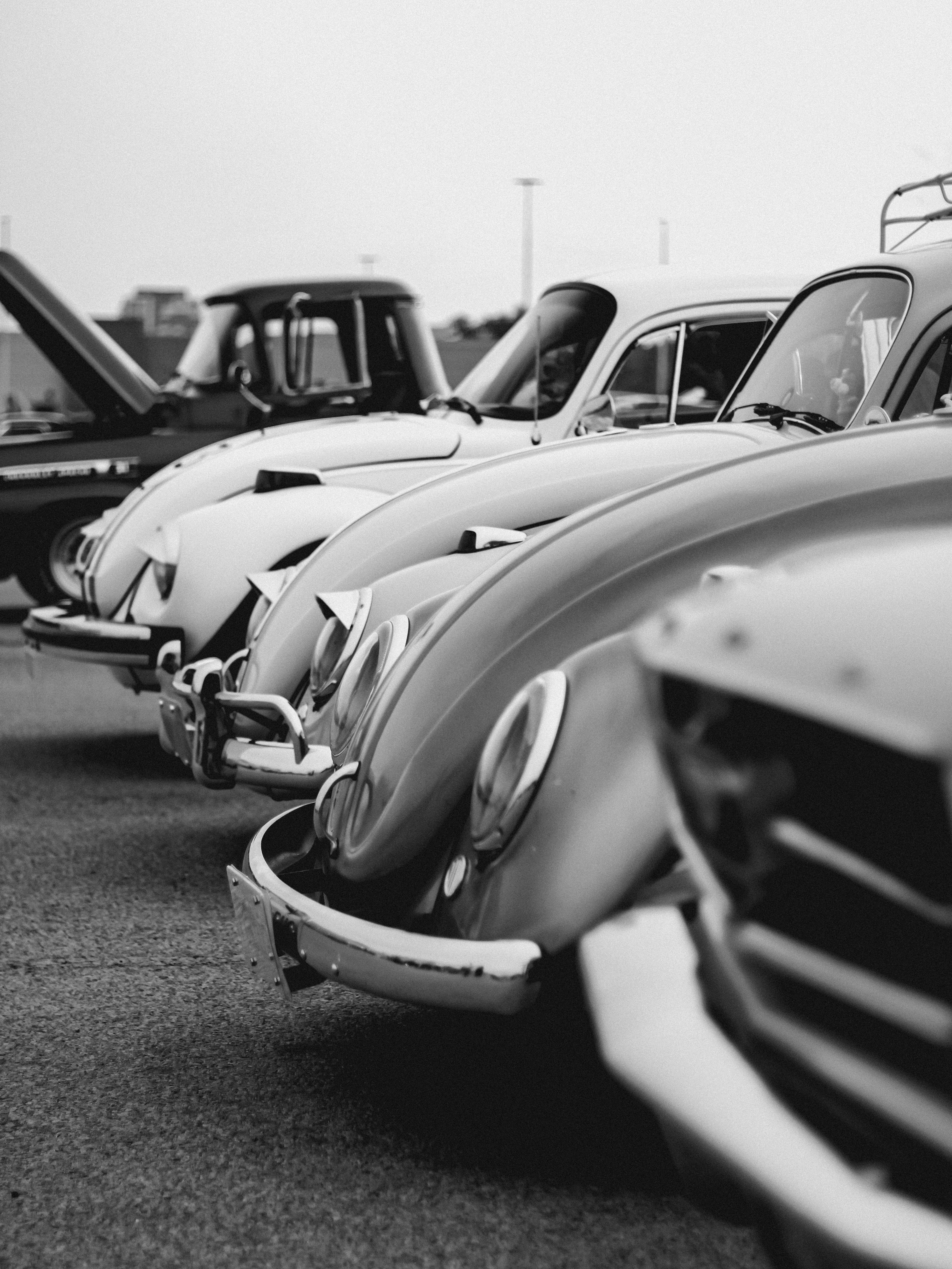 Monochrome Lineup: Time-worn VW Beetles in a Quiet Parking Lot