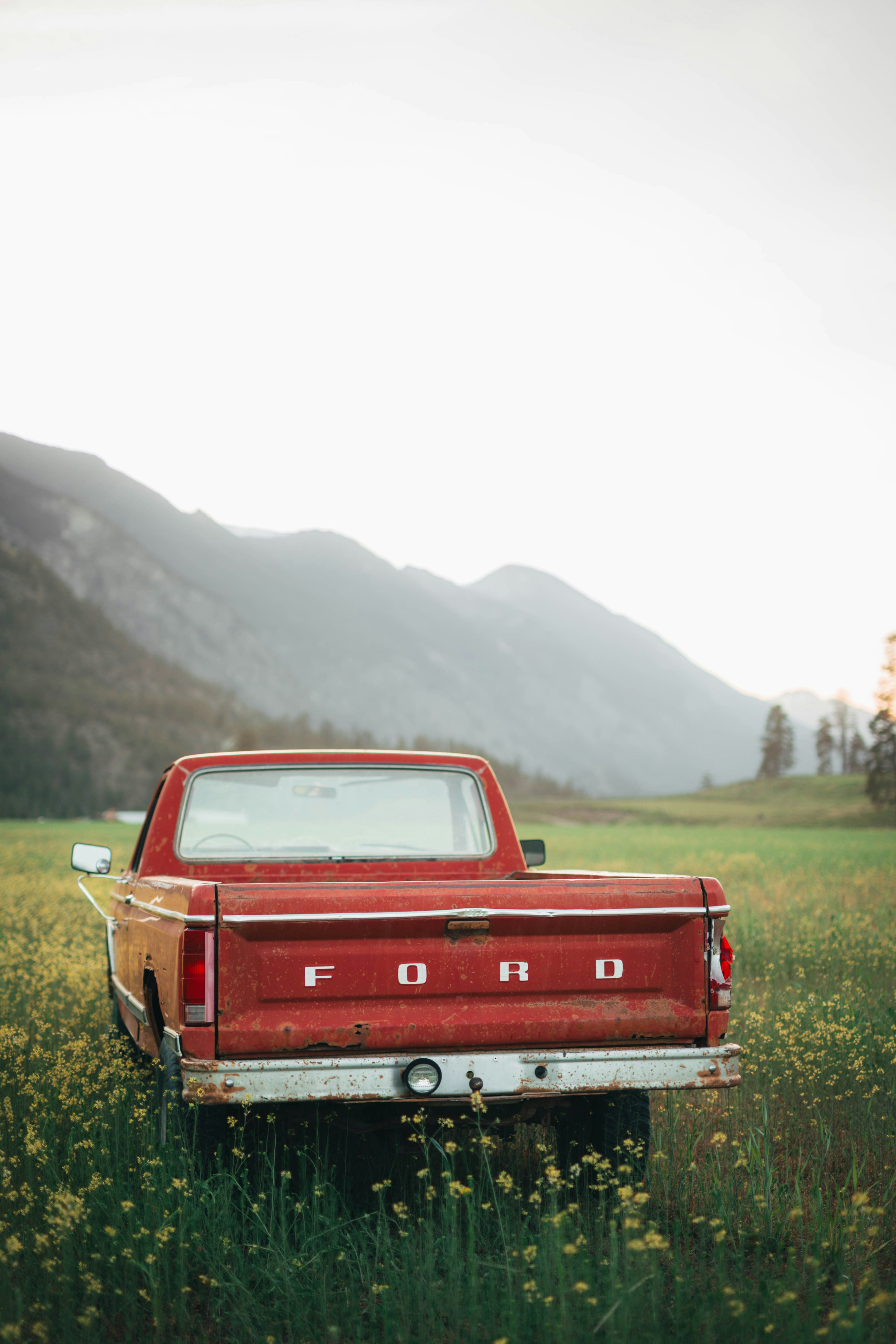 Crimson Ford Pickup Anchored in a Sunlit Alpine Meadow