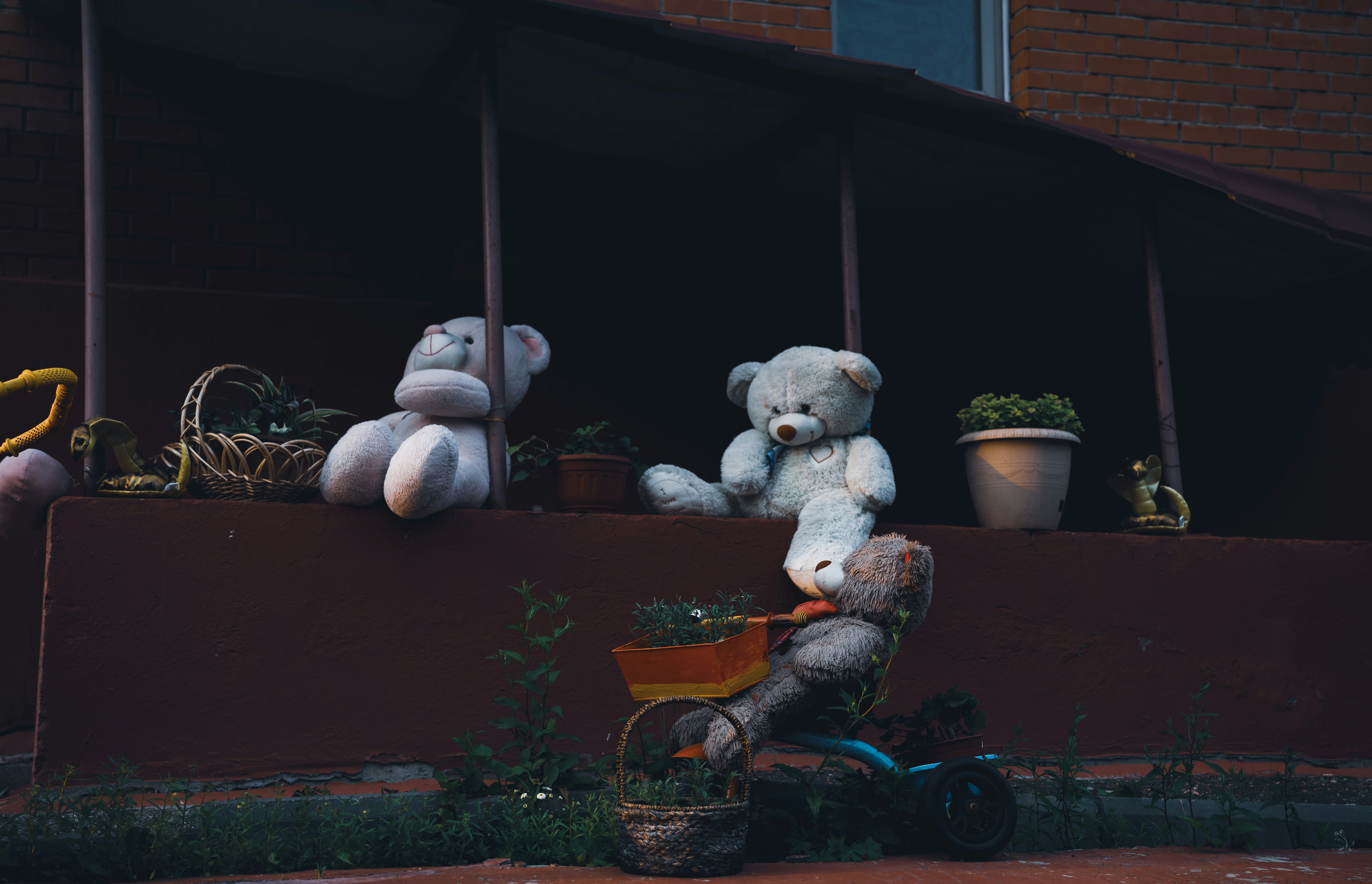Teddy bears and plants sit on a porch.