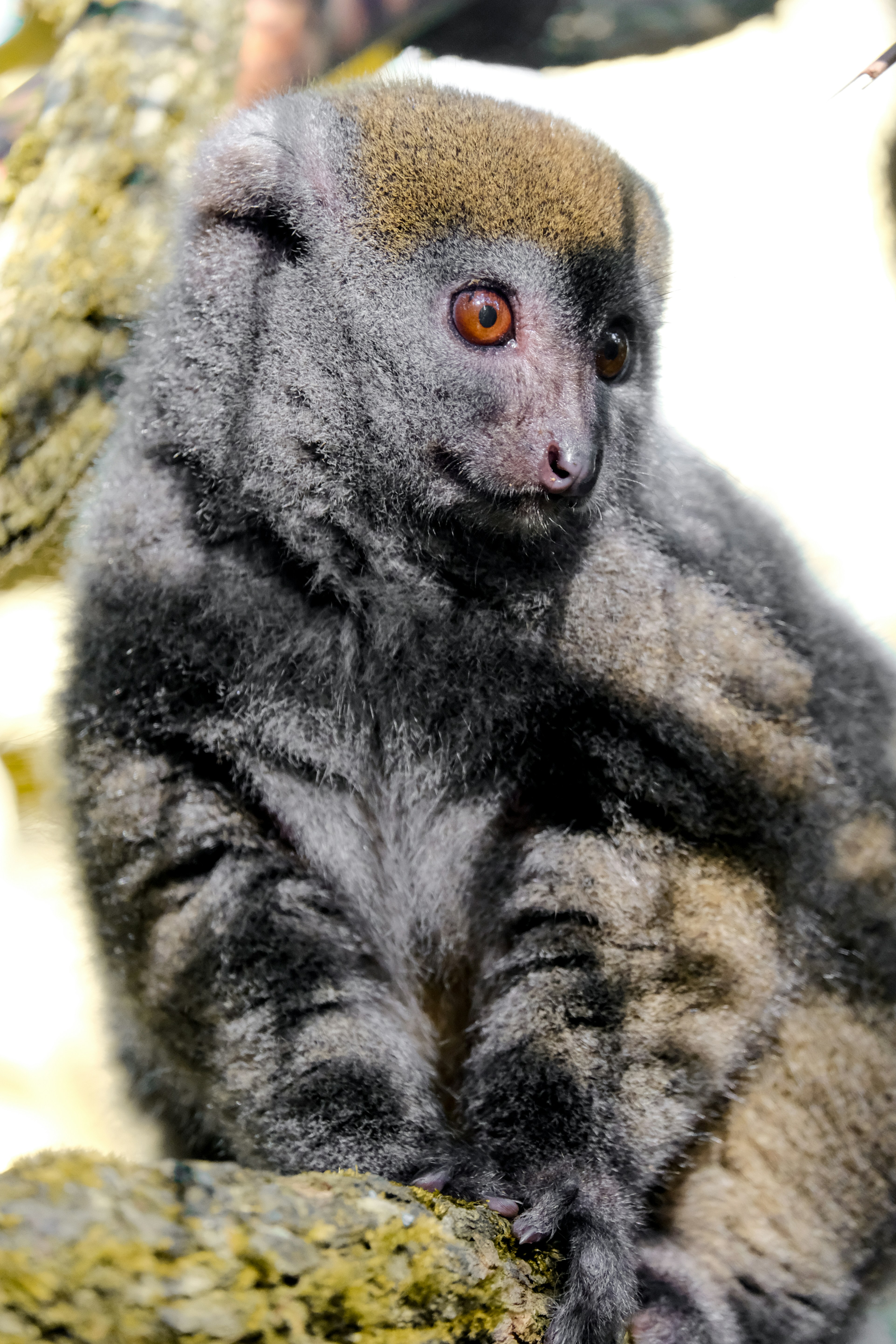 Photo by Falco Negenman with Fujifilm X-E3