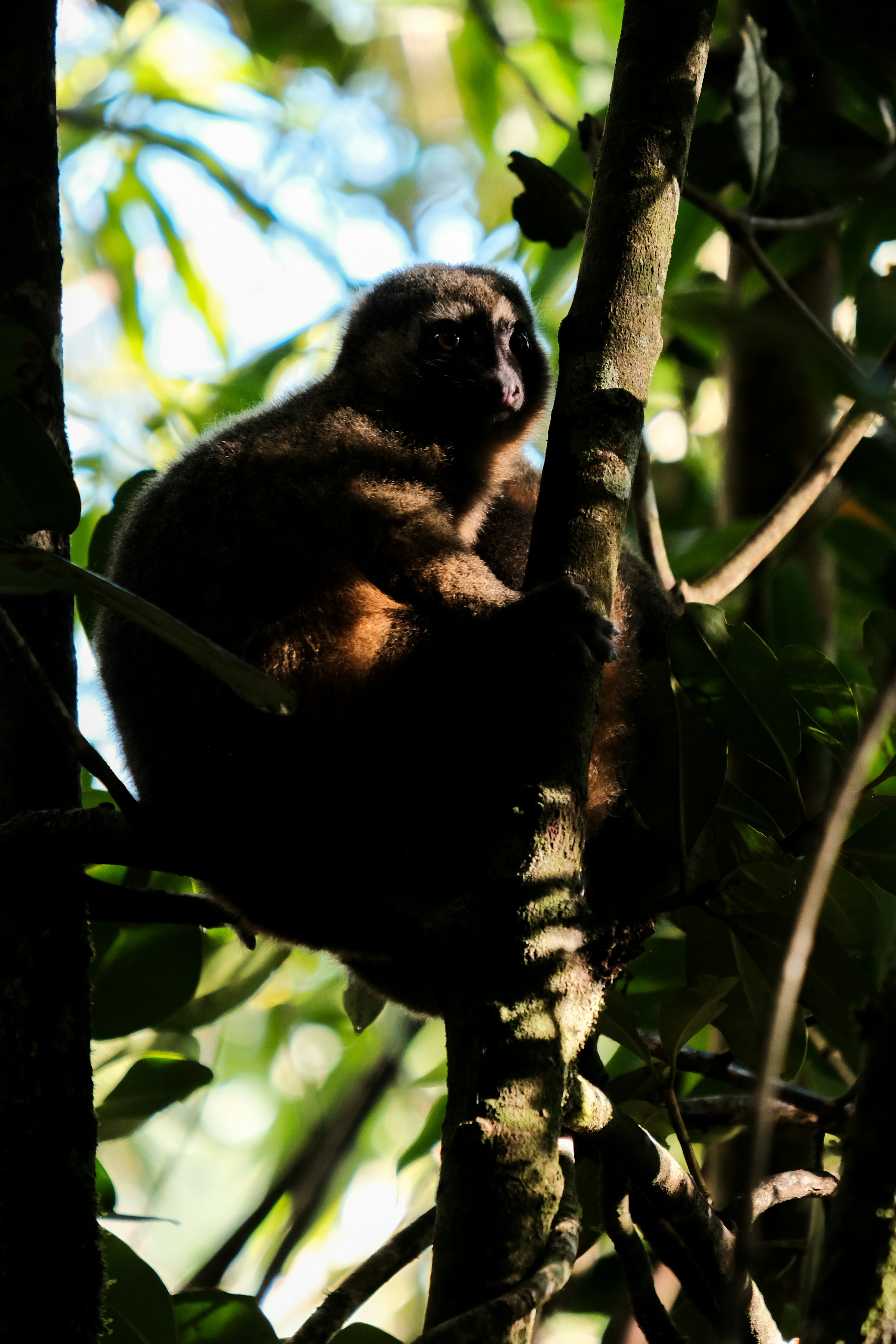 Photo by Falco Negenman with Fujifilm X-E3