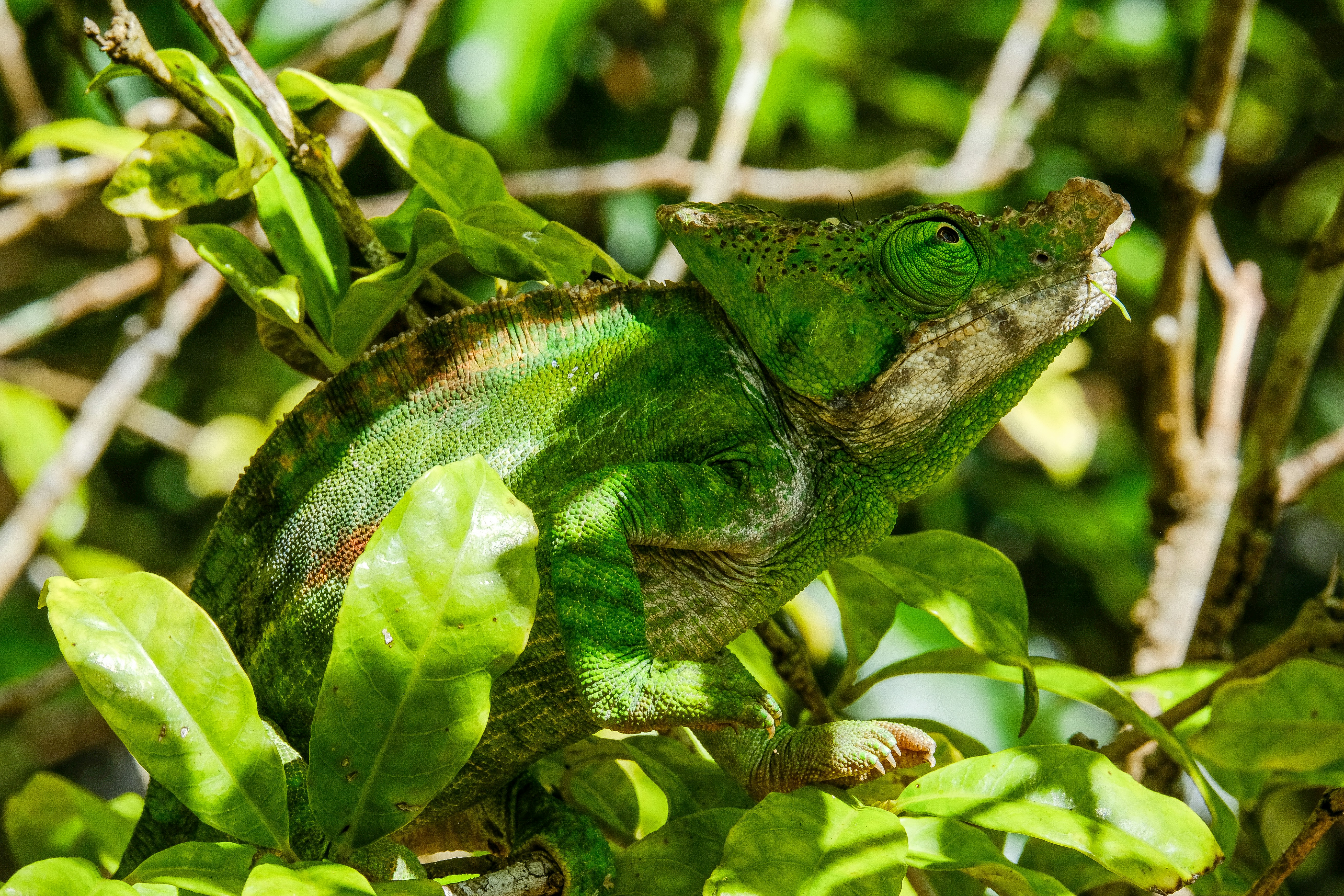 Photo by Falco Negenman with Fujifilm X-E3