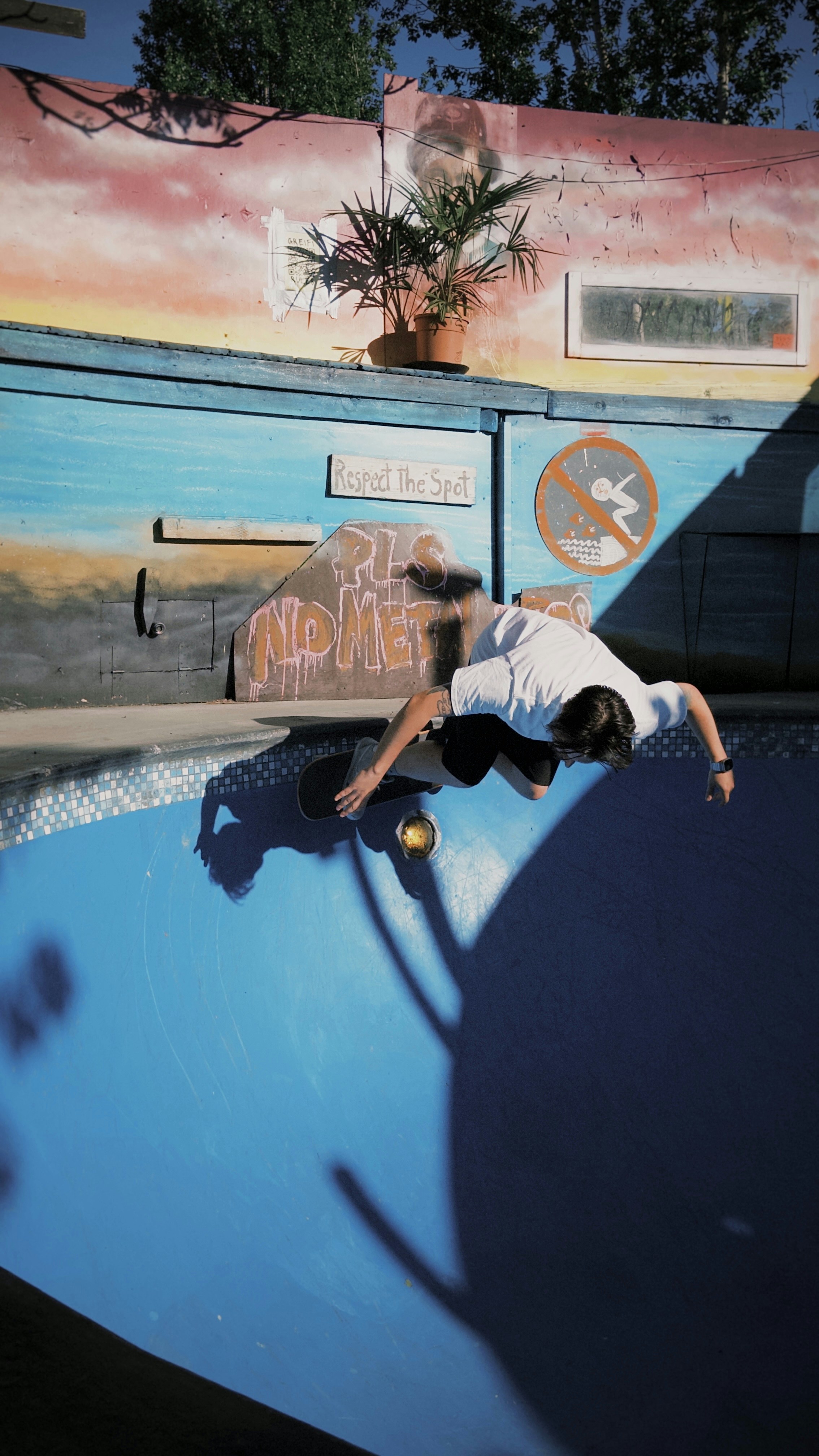 Skater performing a trick in a vibrant bowl adorned with graffiti and a palm plant overhead.