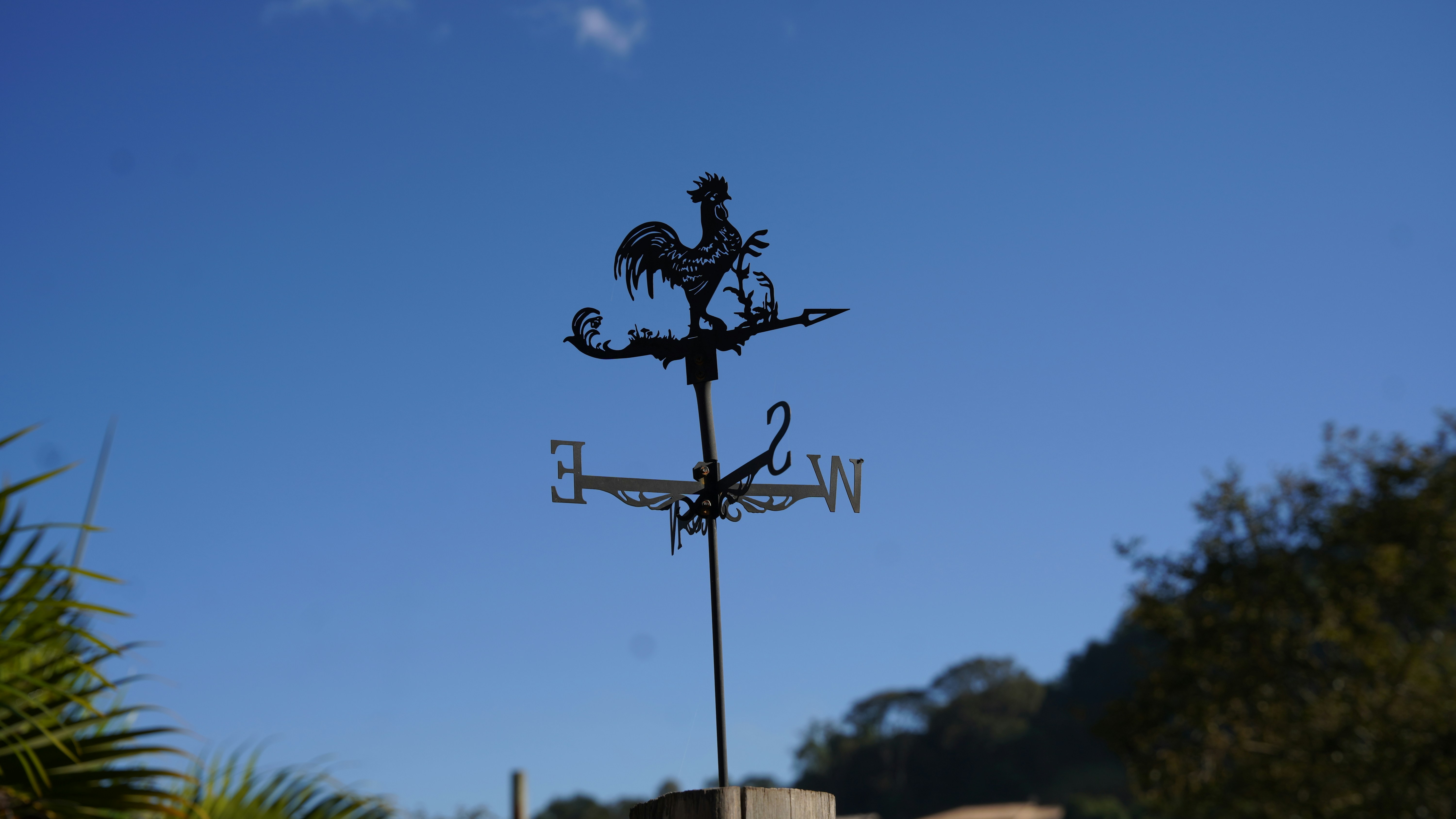 Weather vane shows directions against clear blue sky. photo – Free ...