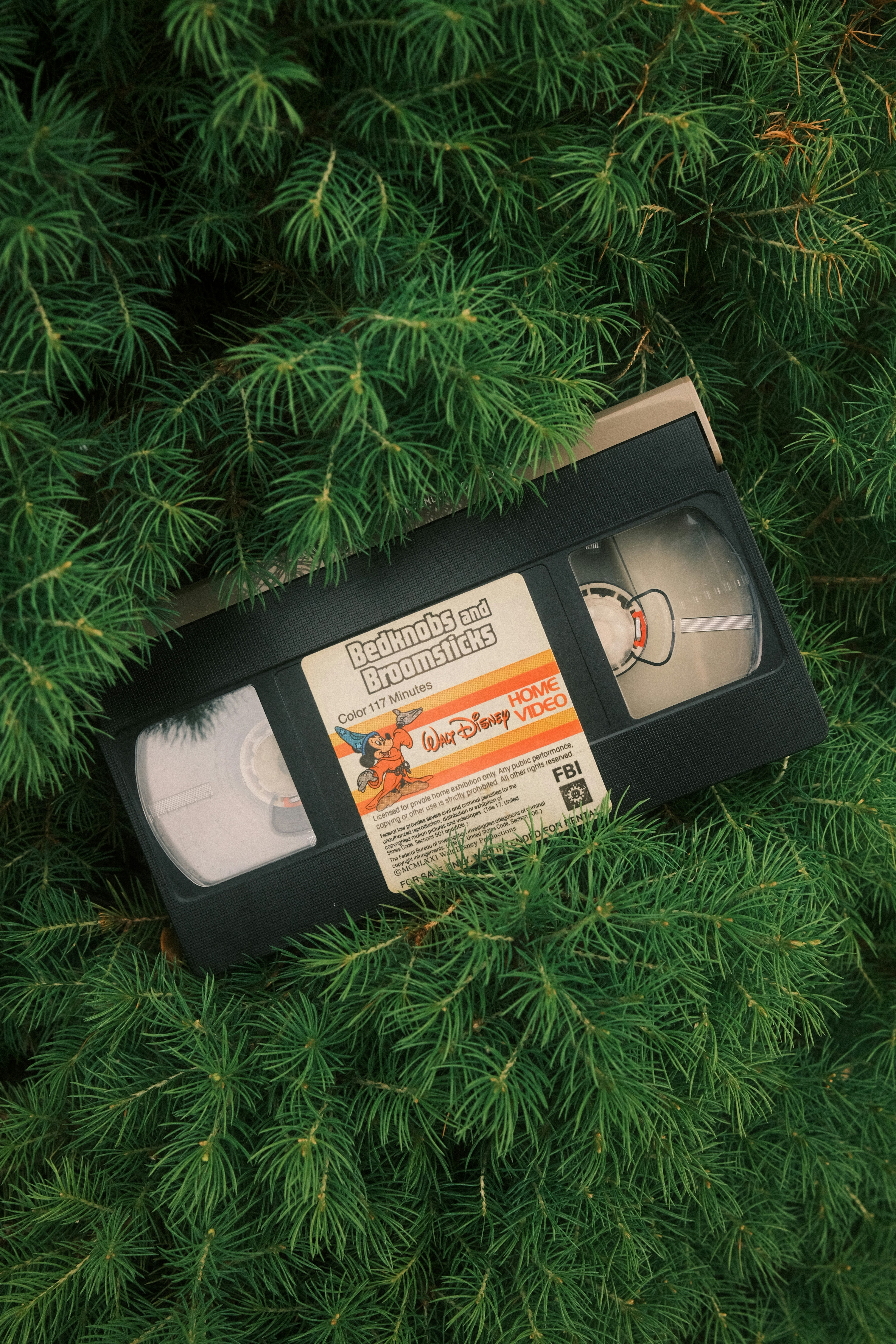 Emerald Nest: A Vintage Cassette Hidden in Pine