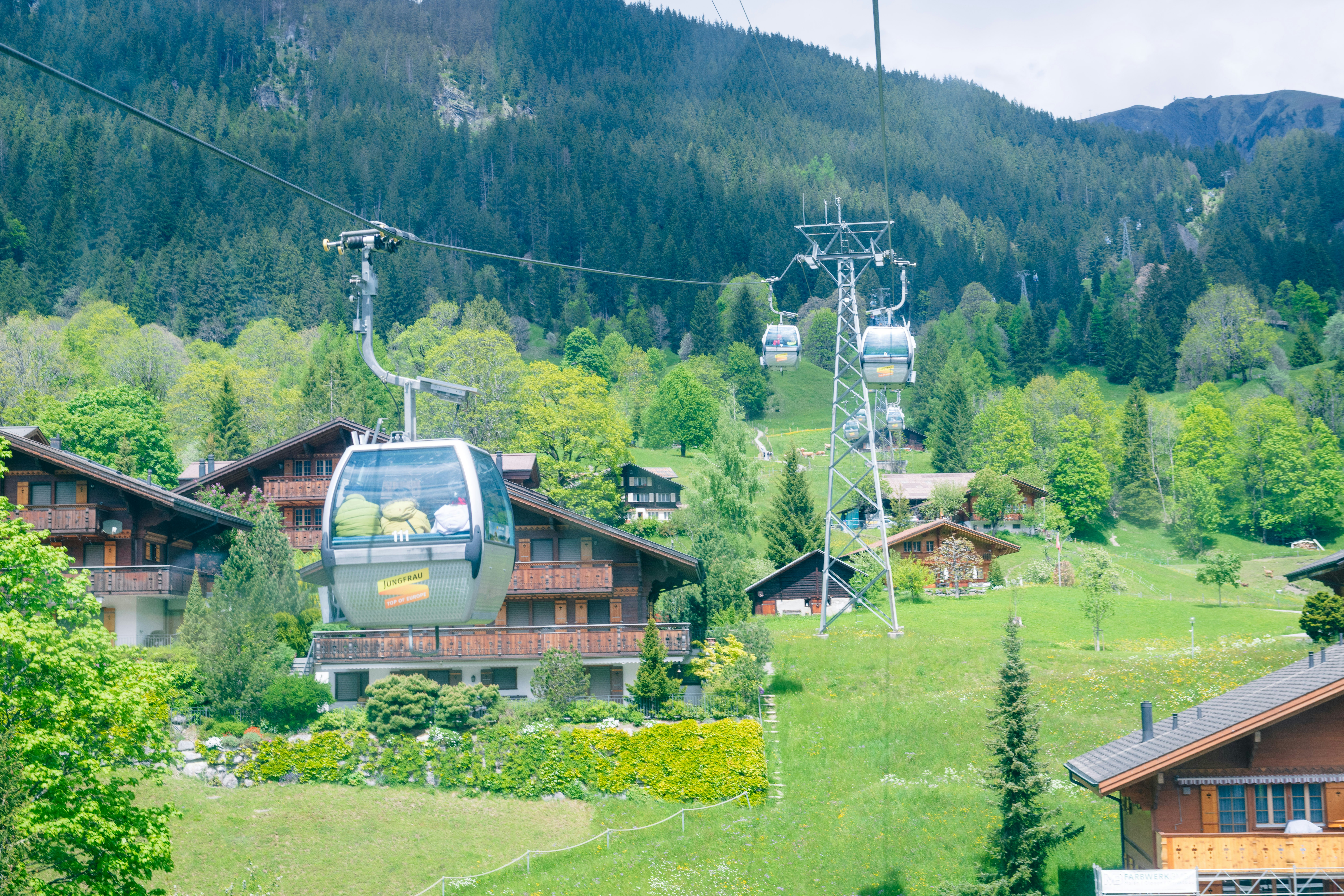 Ascending Through Verdant Valleys