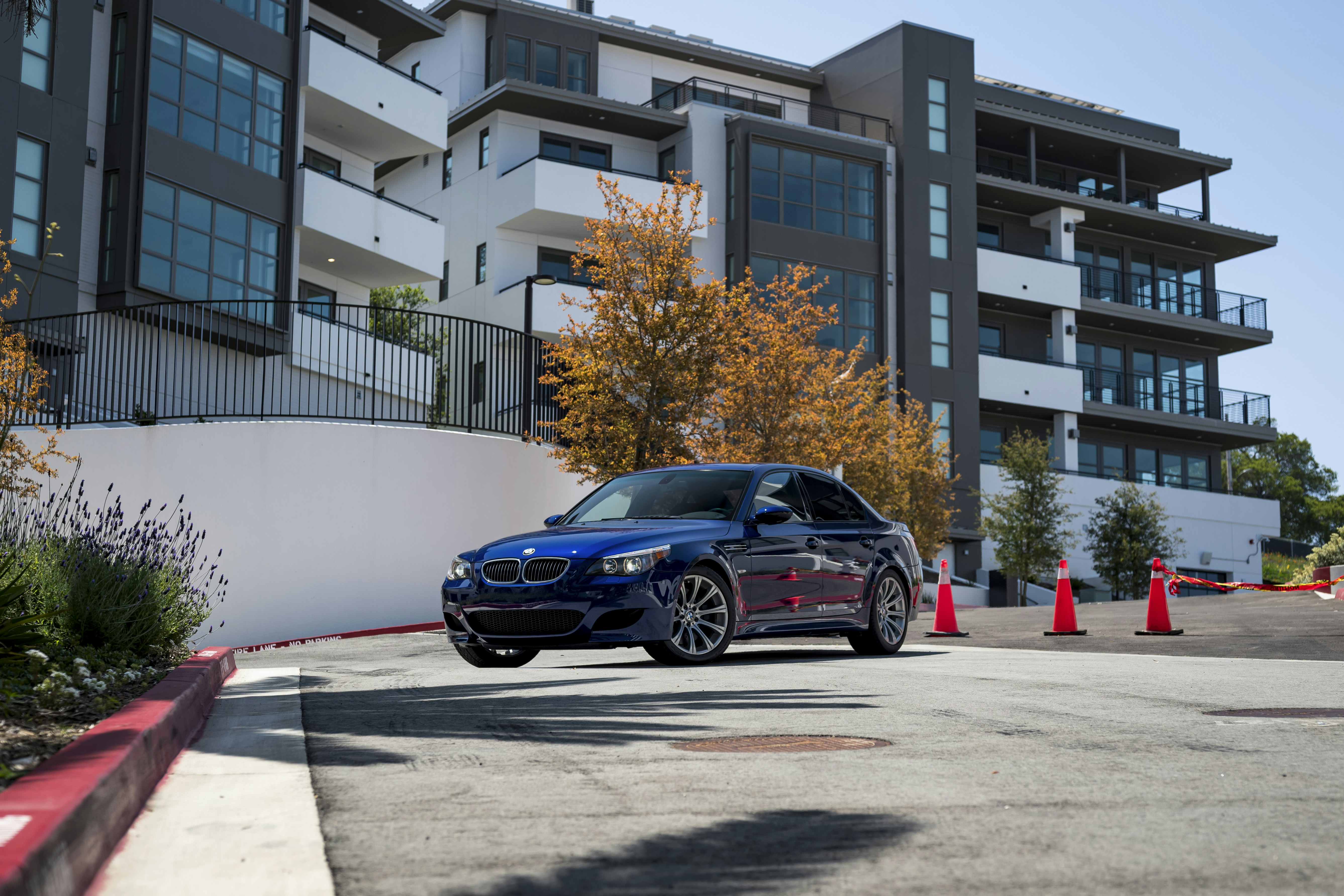 Urban Elegance: The BMW in Modern Architecture
