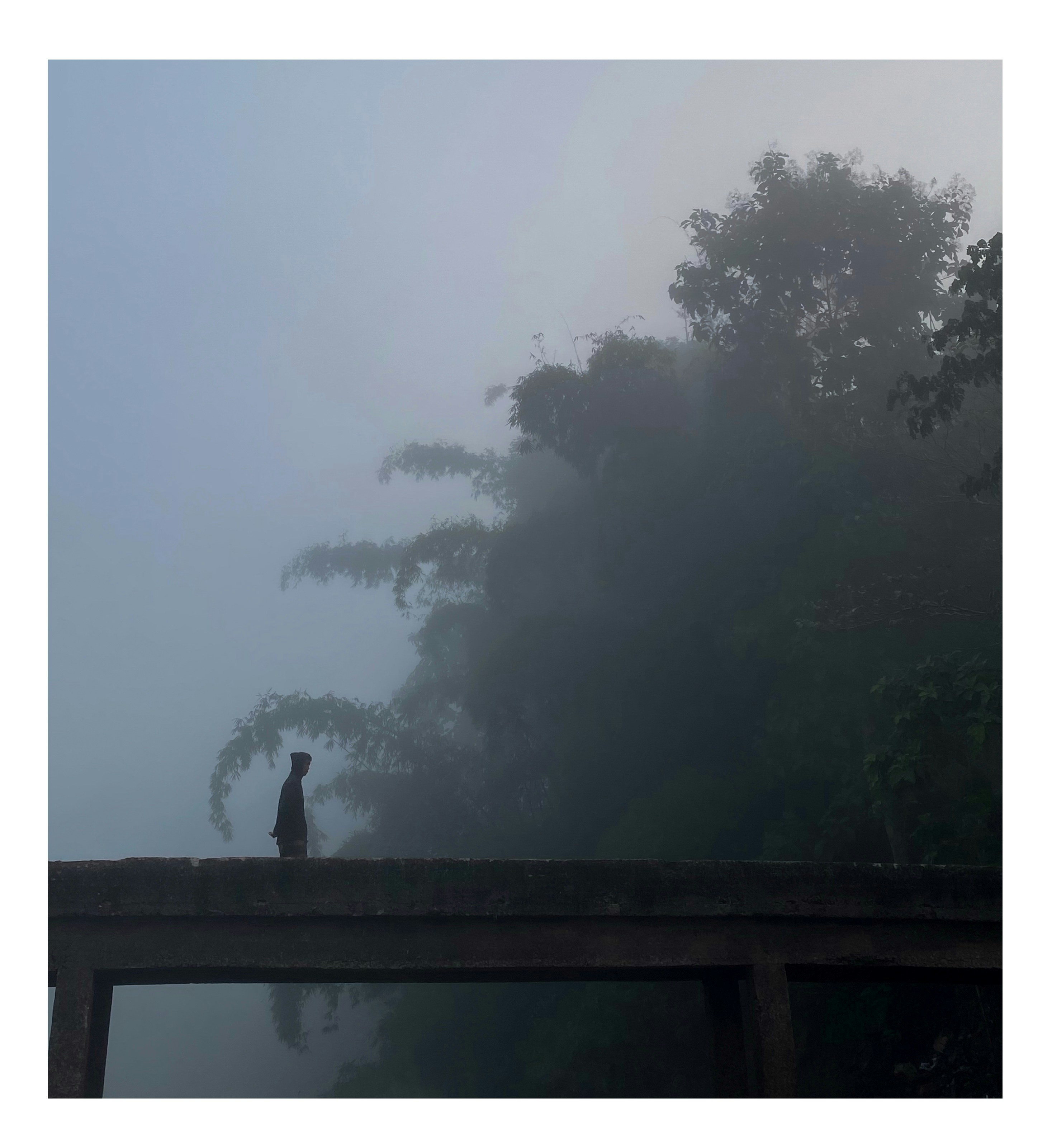 Fogbound Overlook: A Lone Silhouette on the Concrete Rail