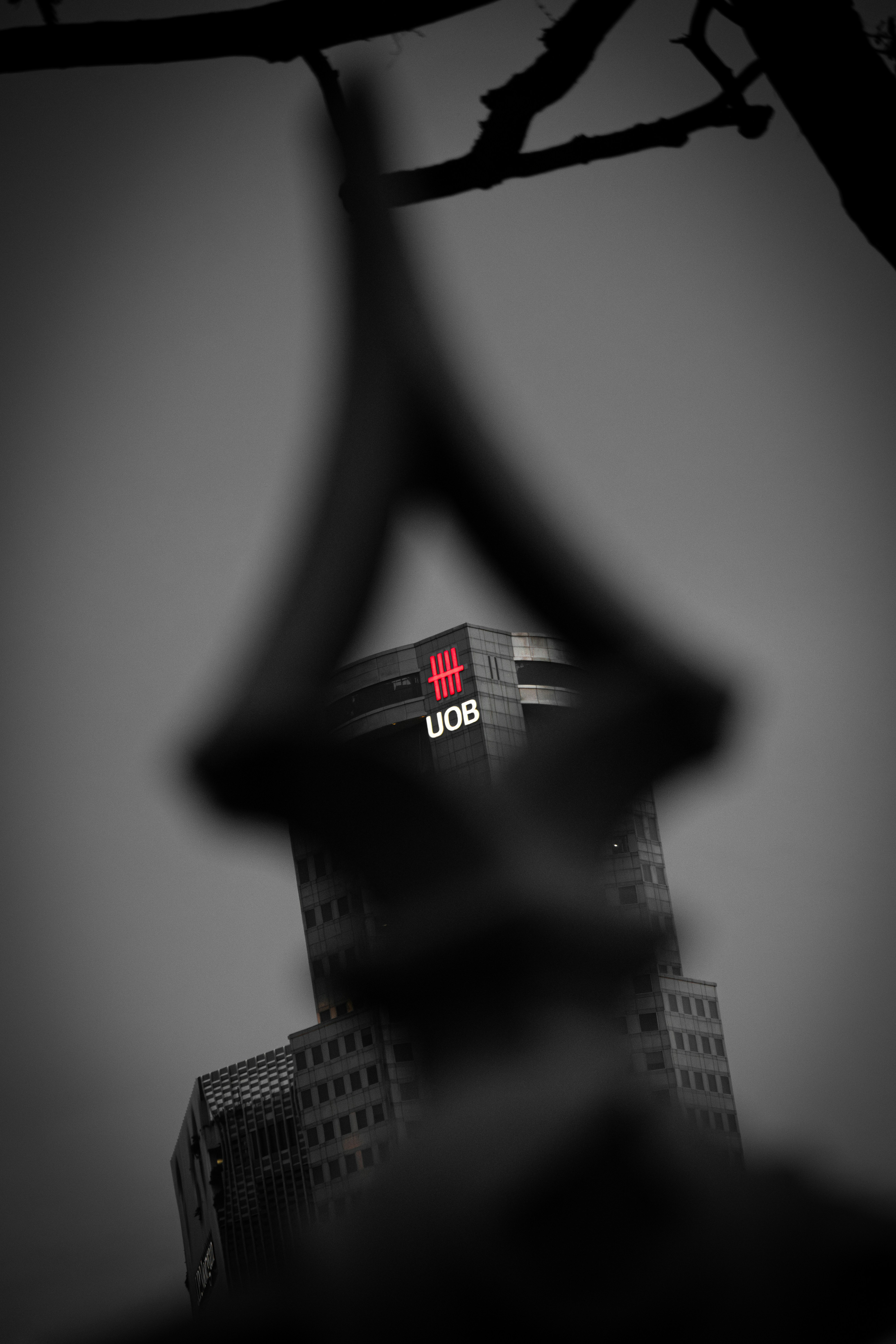 Uob building seen through branches. photo – Free Woman Image on Unsplash