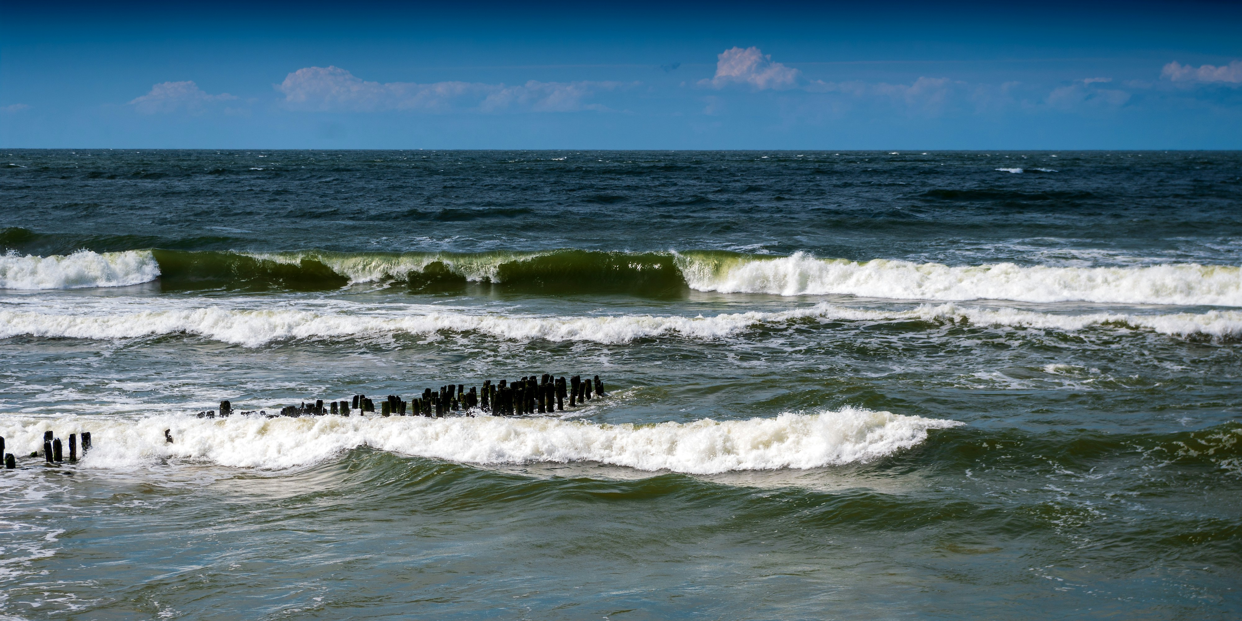 The Quiet Sentinel: Weathered Posts in a Rolling Emerald Sea