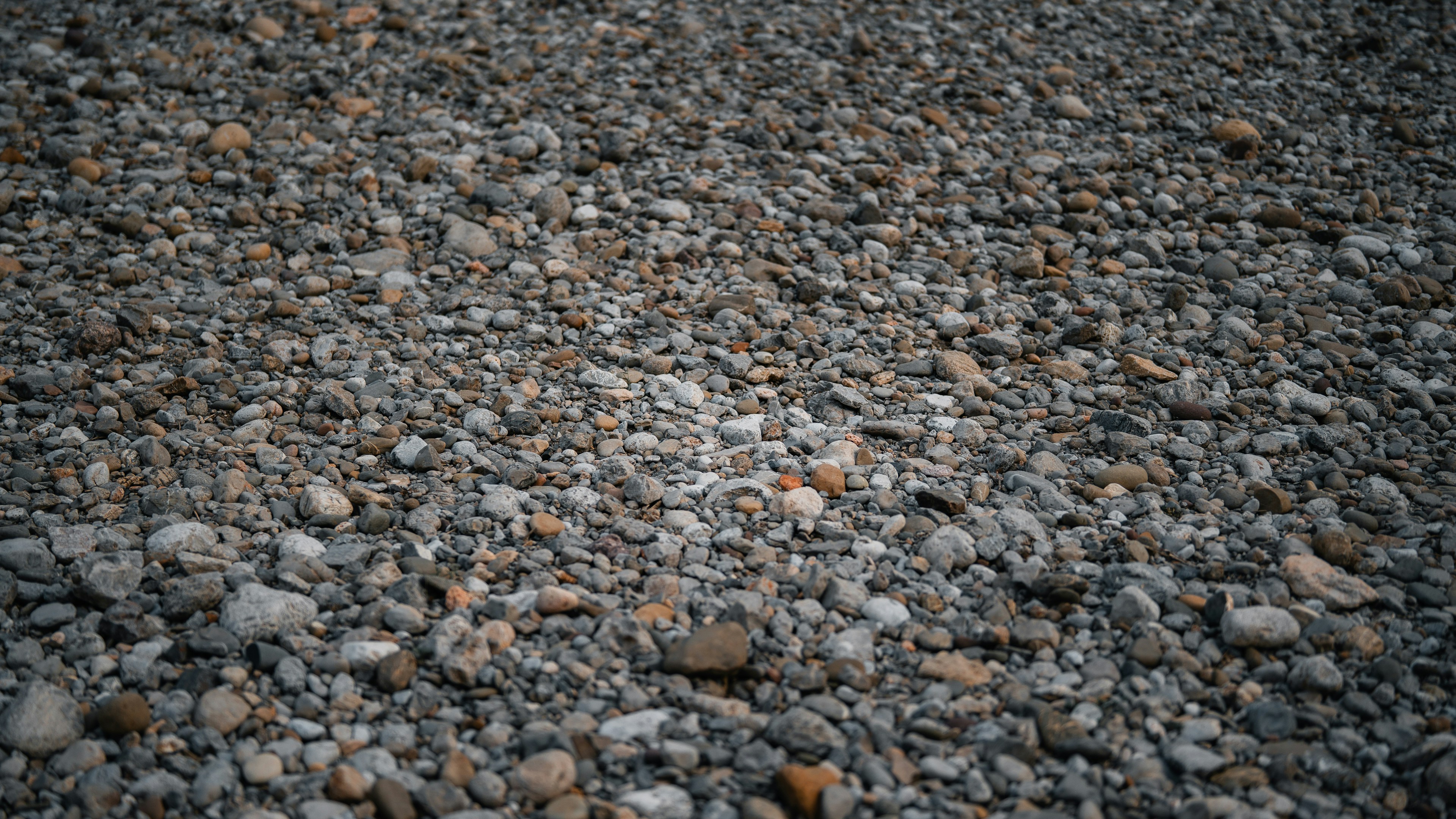 soft but hard rocks.. | Gravel covers the ground in this detailed image.