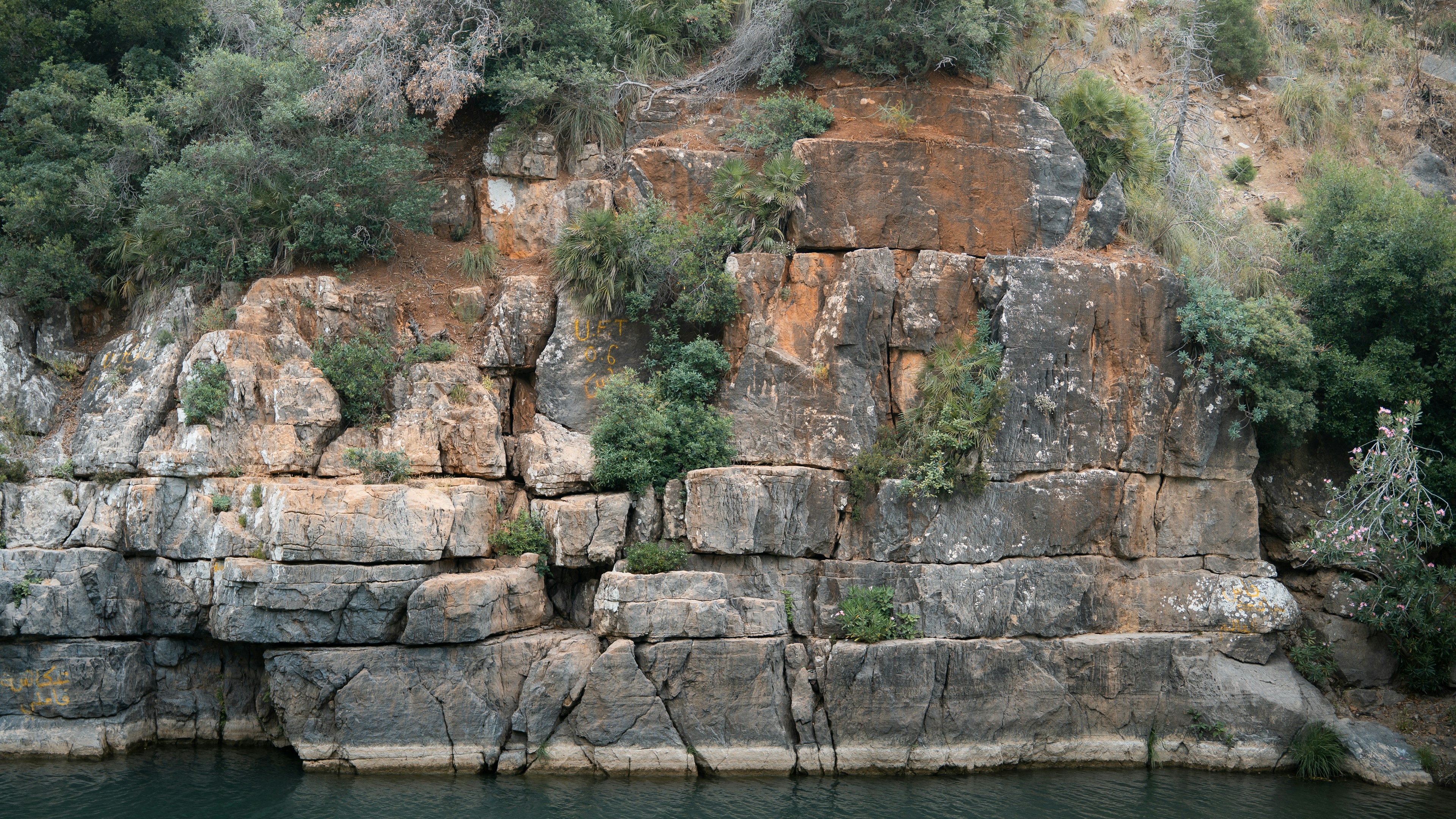 Nature's Sculpted Canvas: The Rocky Facade