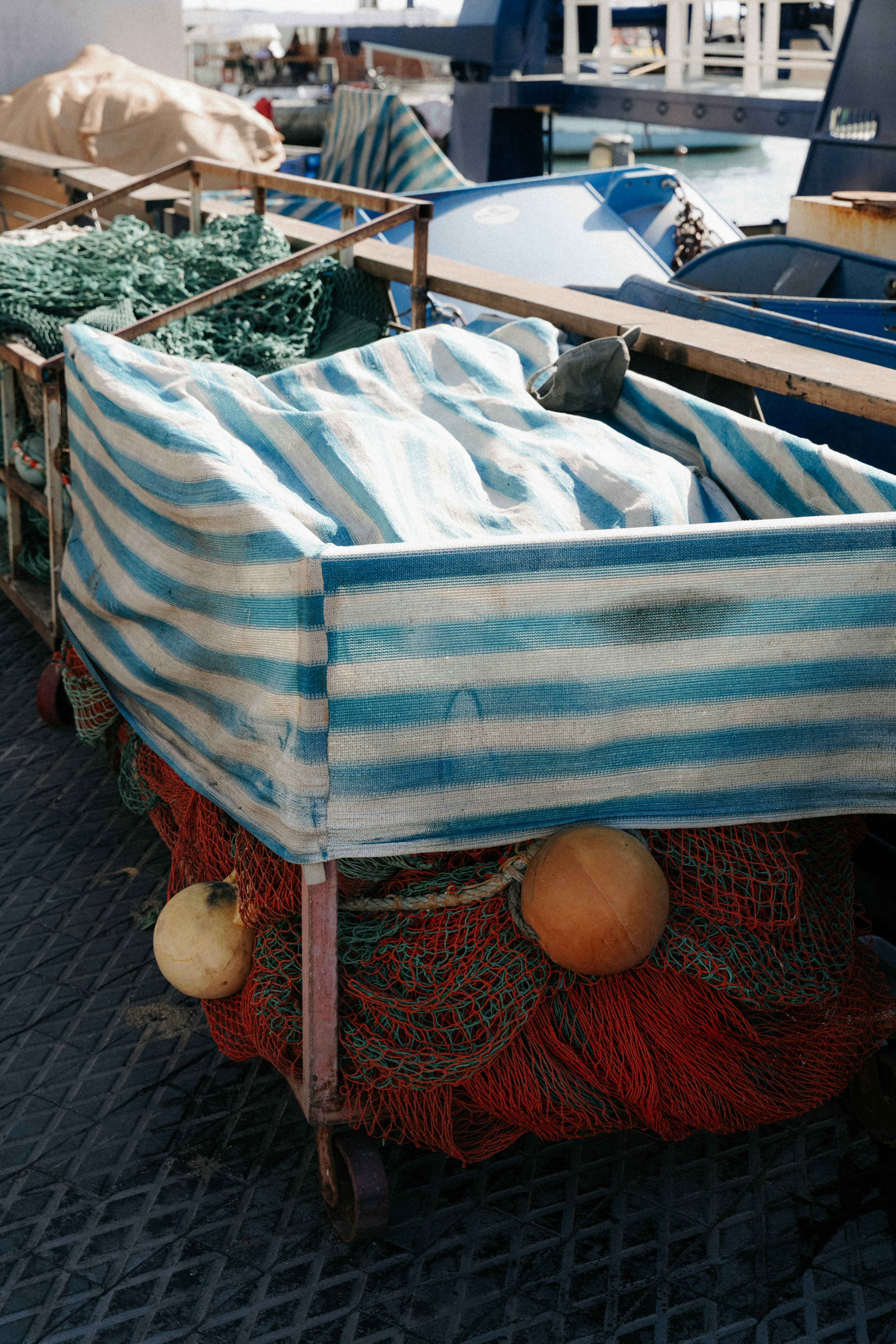 Photo by Mathias Reding with Sony Alpha 7R IV