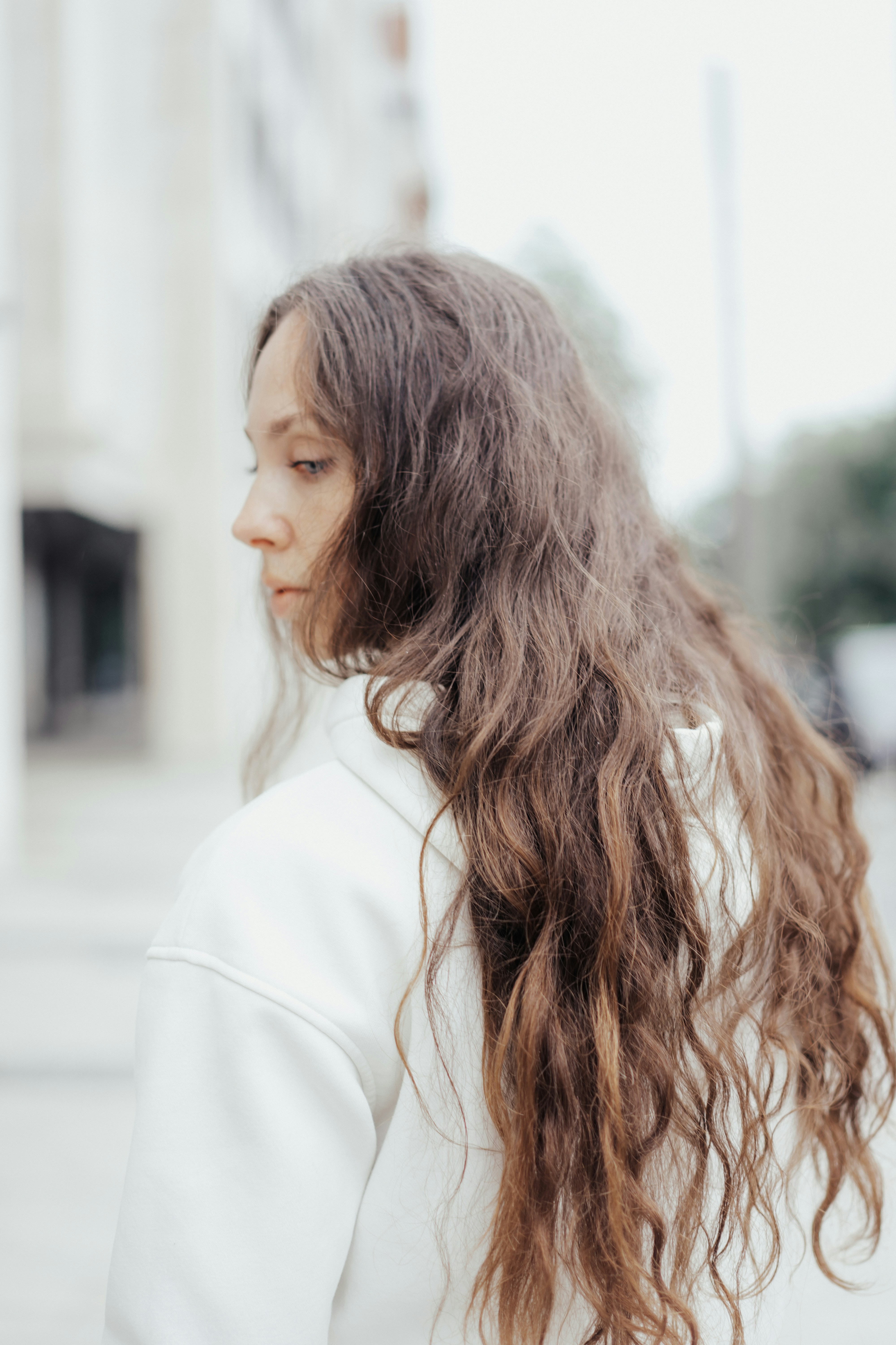 Whispers of the Urban Breeze
