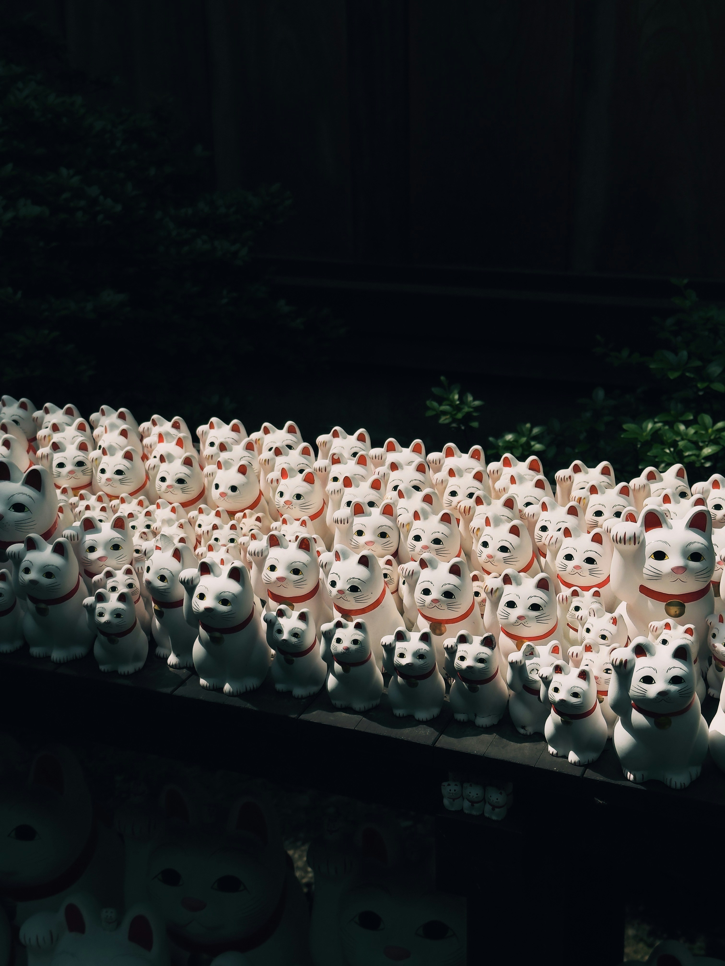 Many beckoning cat figurines are on display.