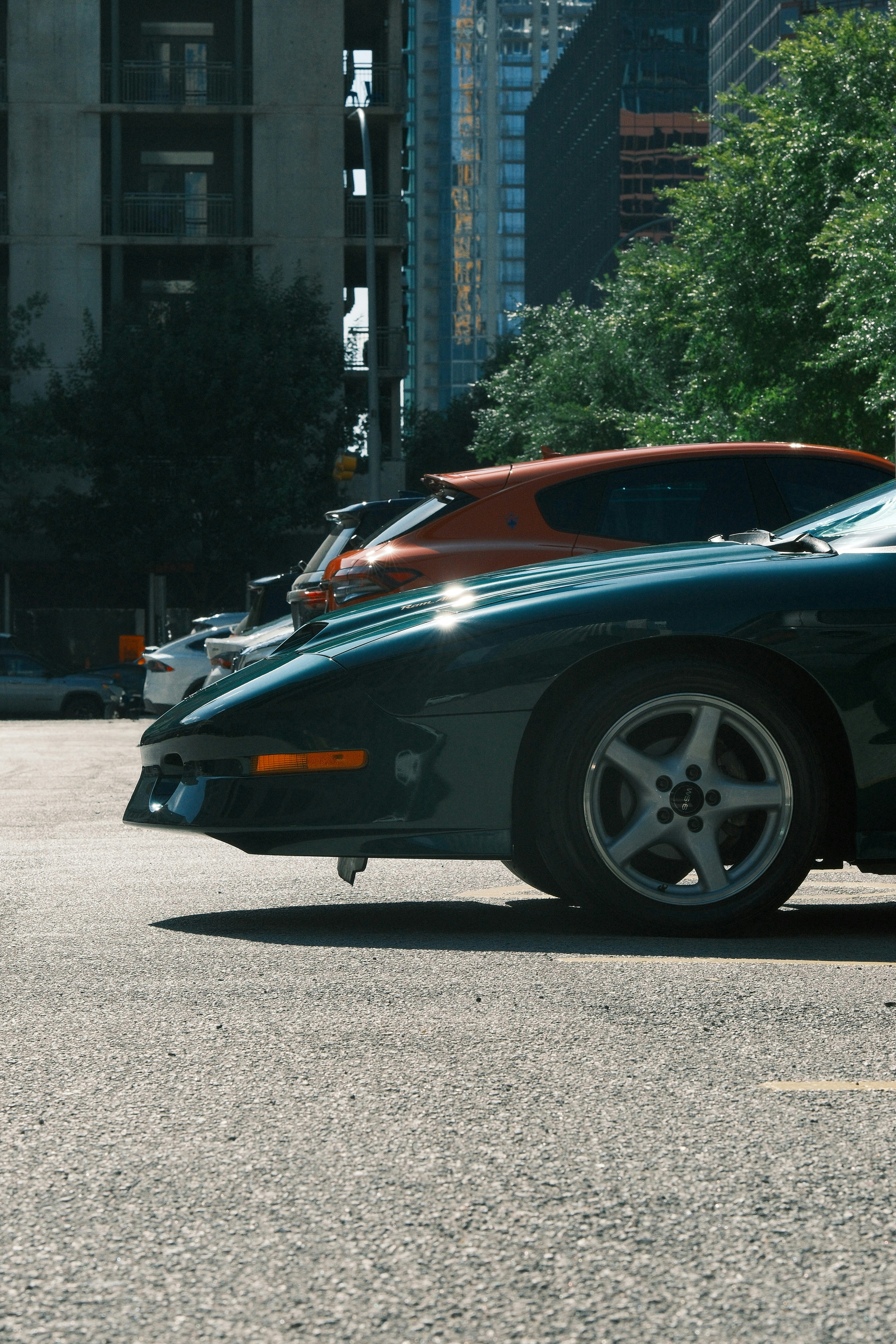 Chrome and Asphalt: A Row of Studded Classics