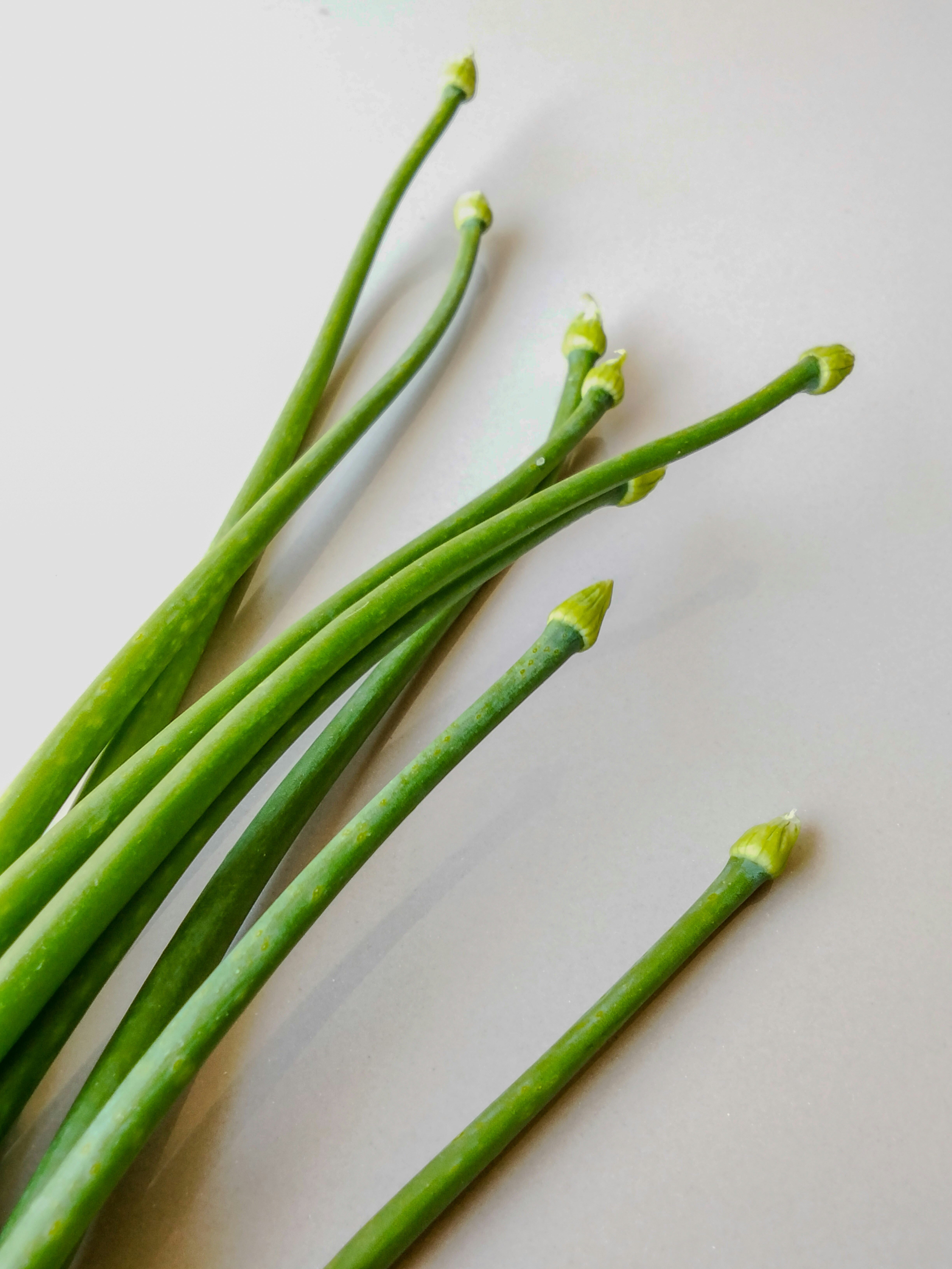 Fresh chive blossoms on a white surface.