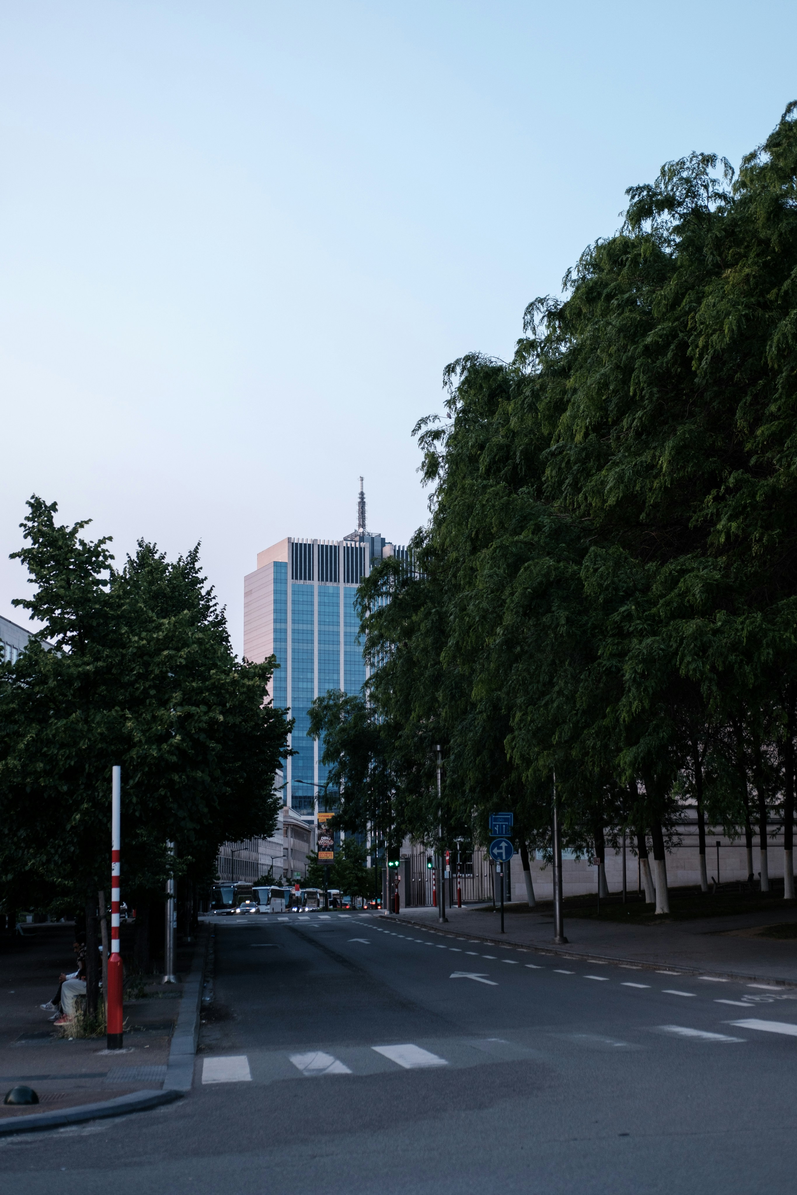 A tranquil city street framed by lush trees, leading towards a modern skyscraper under a soft evening sky.